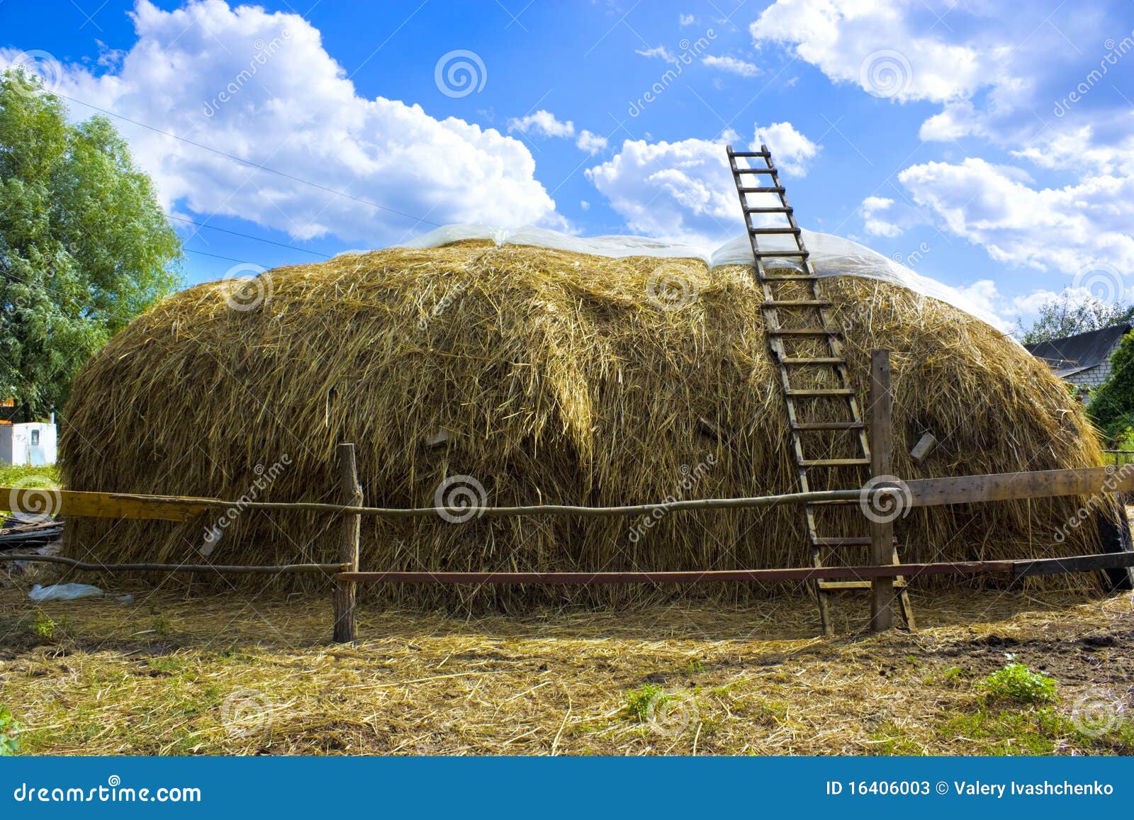 Haystack stock image. Image of season, stack, scene, ladder - 16406003