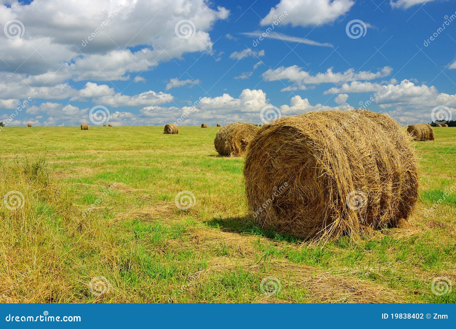 Haystack stock photo. Image of crop, nature, country - 19838402