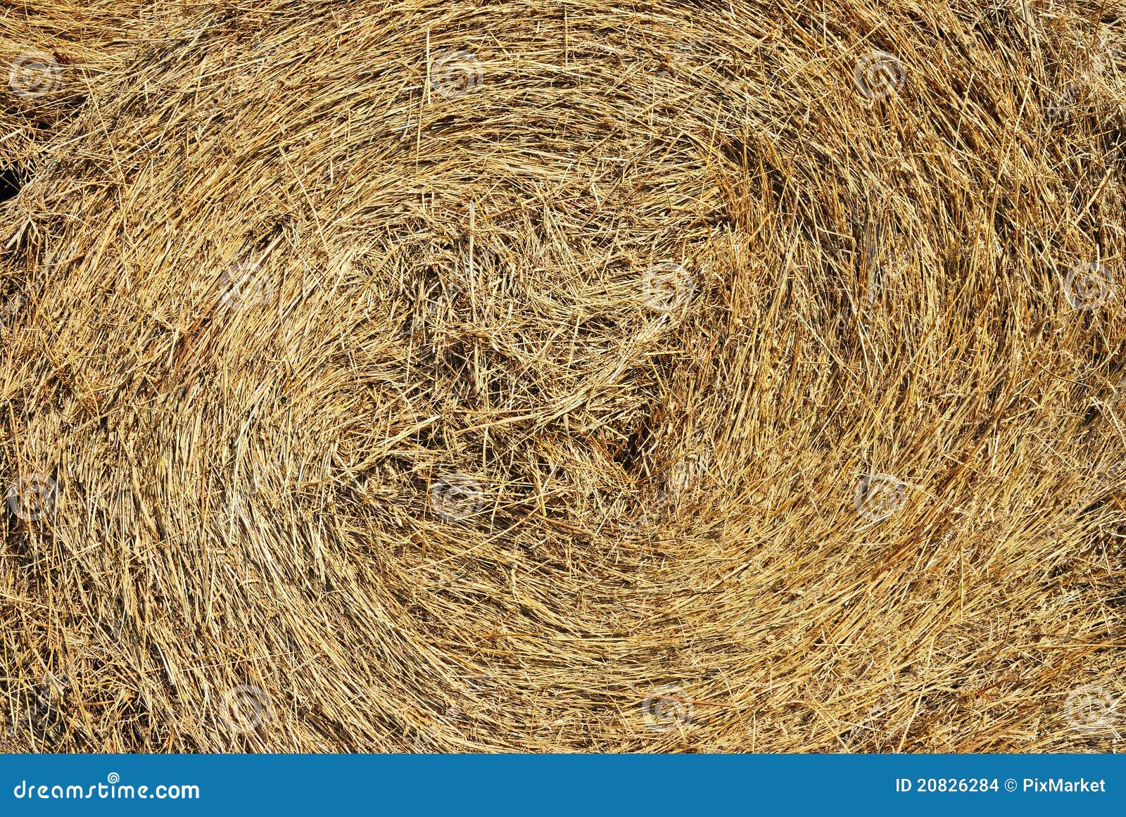 Haystack Texture Background Stock Image | CartoonDealer.com #43608625