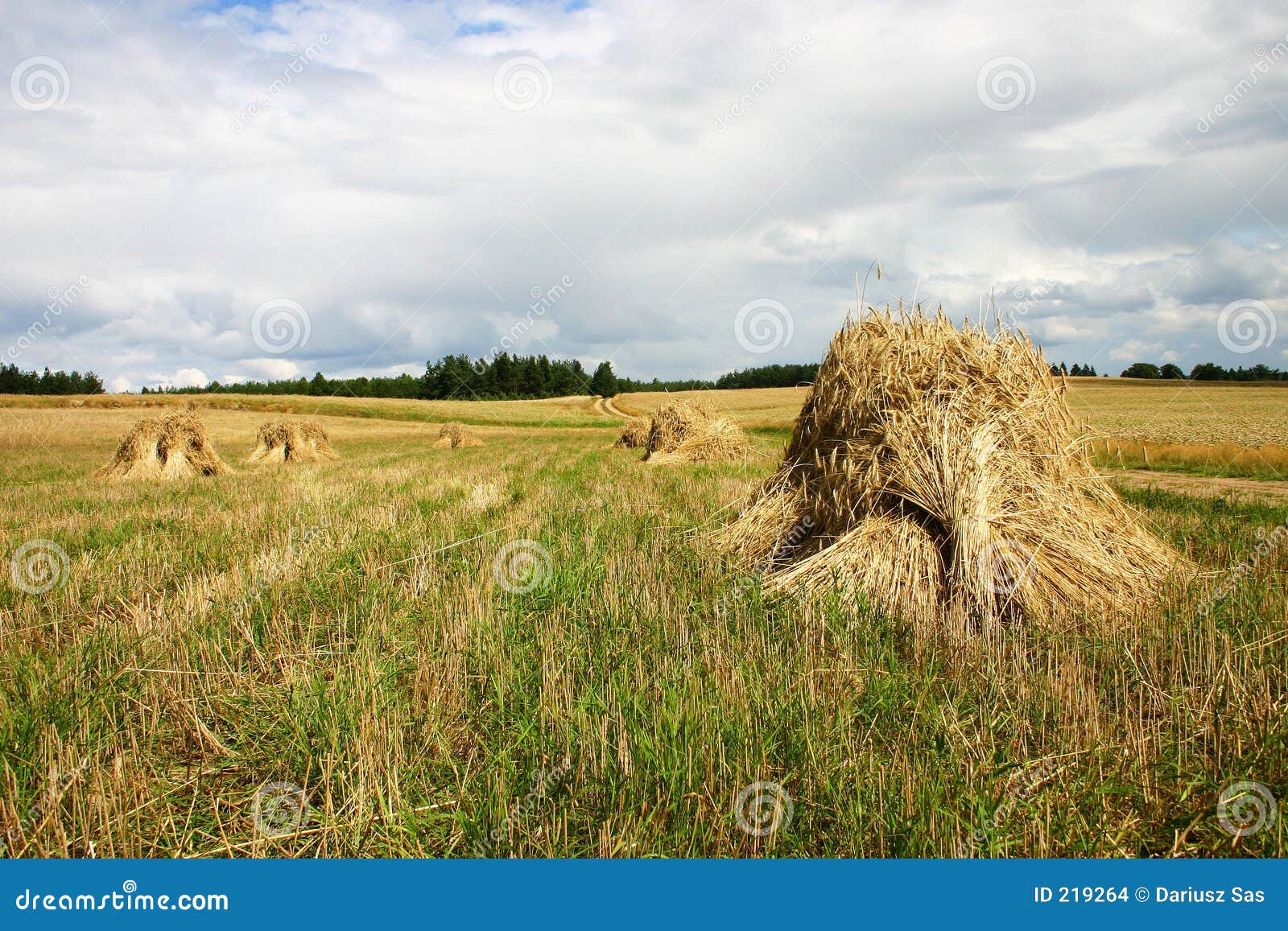 Haystack stock photo. Image of grain, harvest, bread, horizontal - 219264