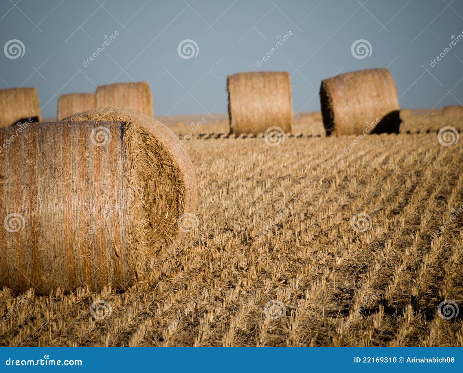 Haystack stock photo. Image of gold, stack, crop, growth - 22169310