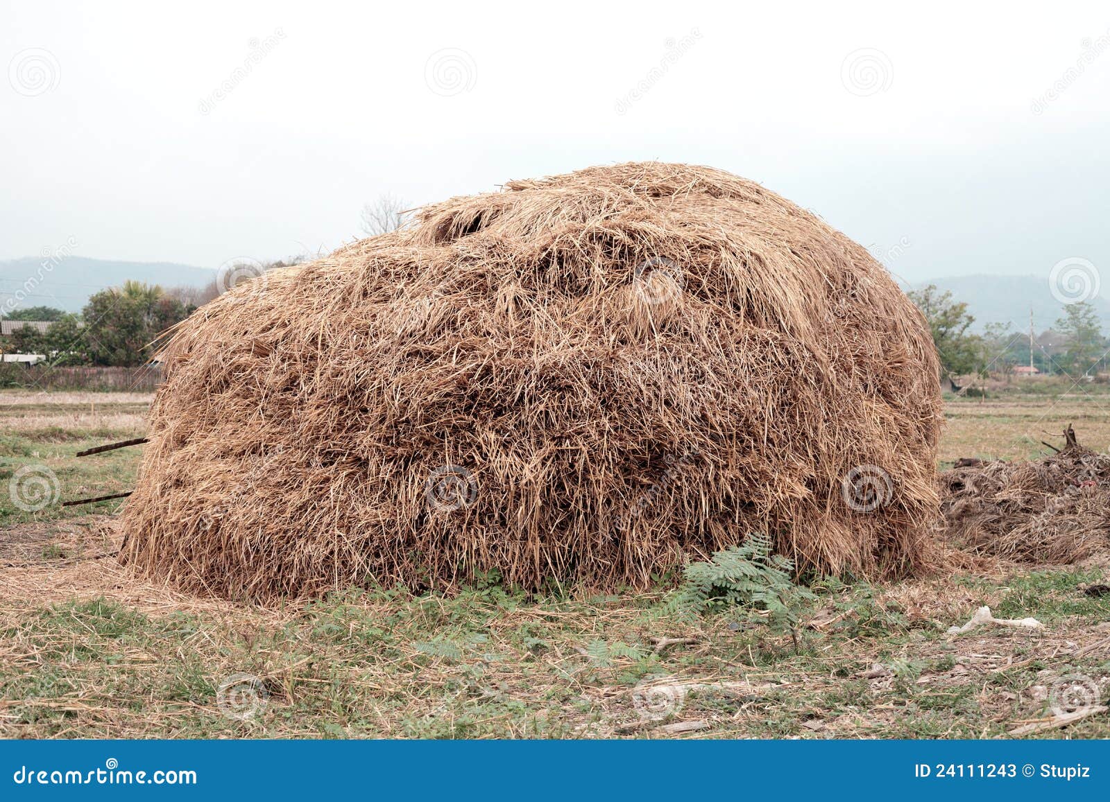 Haystack stock image. Image of lumber, hayrick, agriculture - 24111243