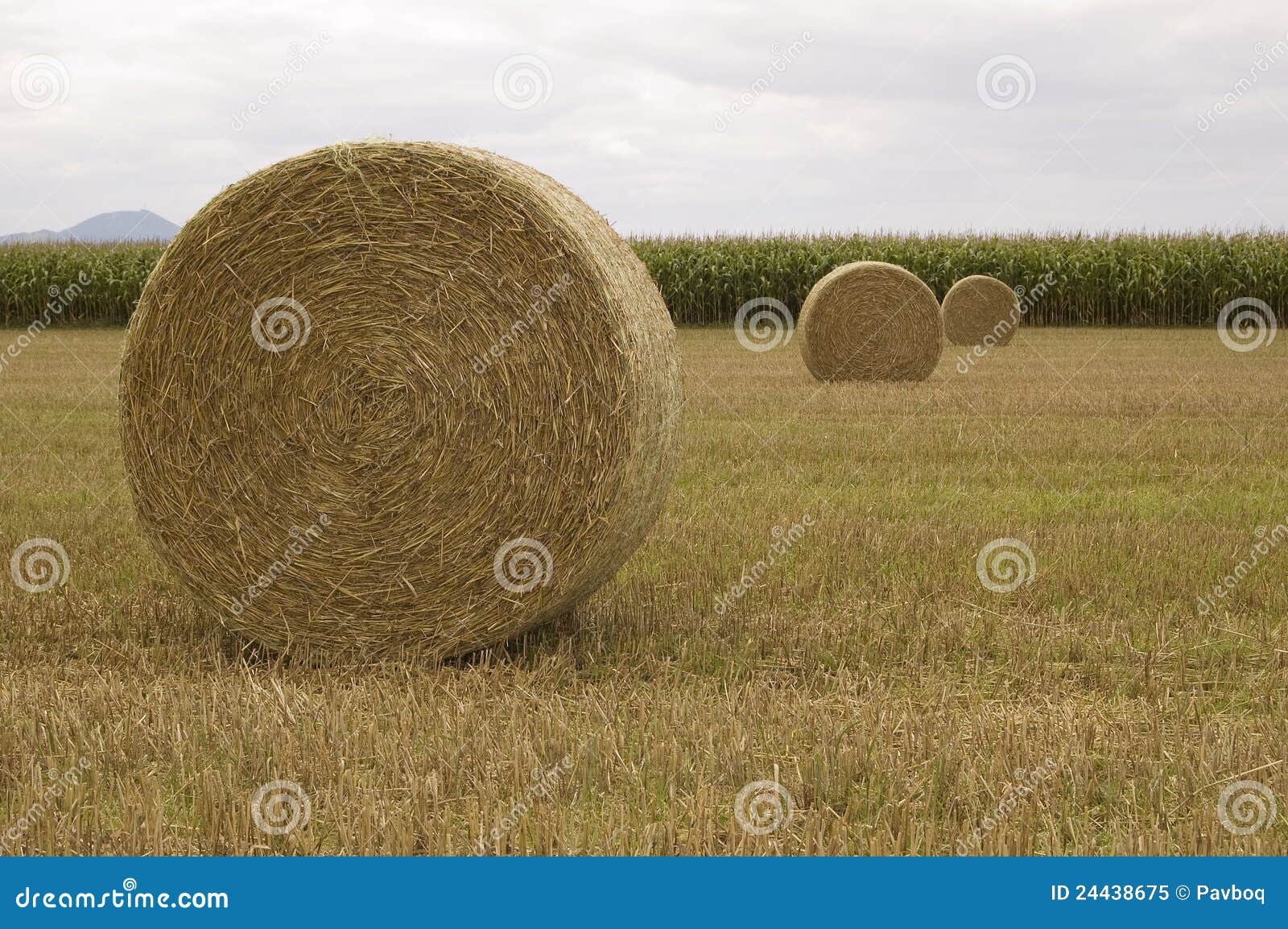 Haystack stock image. Image of haystack, farm, wheat - 24438675