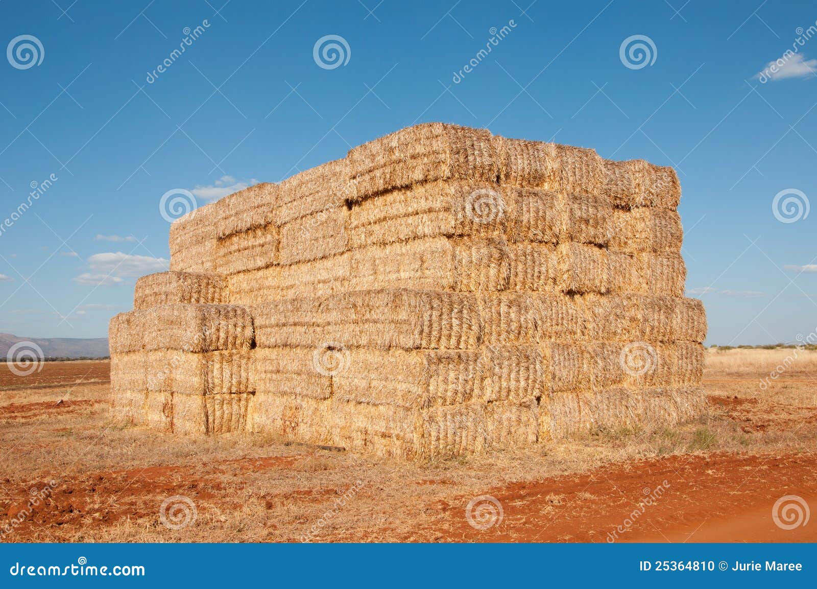 Haystack. stock photo. Image of plant, haystack, industry - 25364810