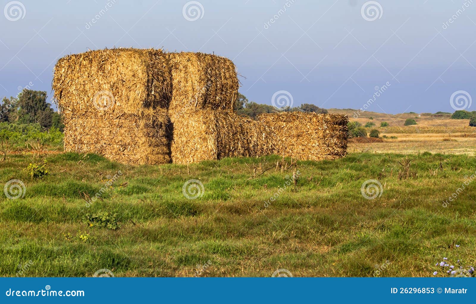 Haystack stock image. Image of natural, lonely, heap - 26296853