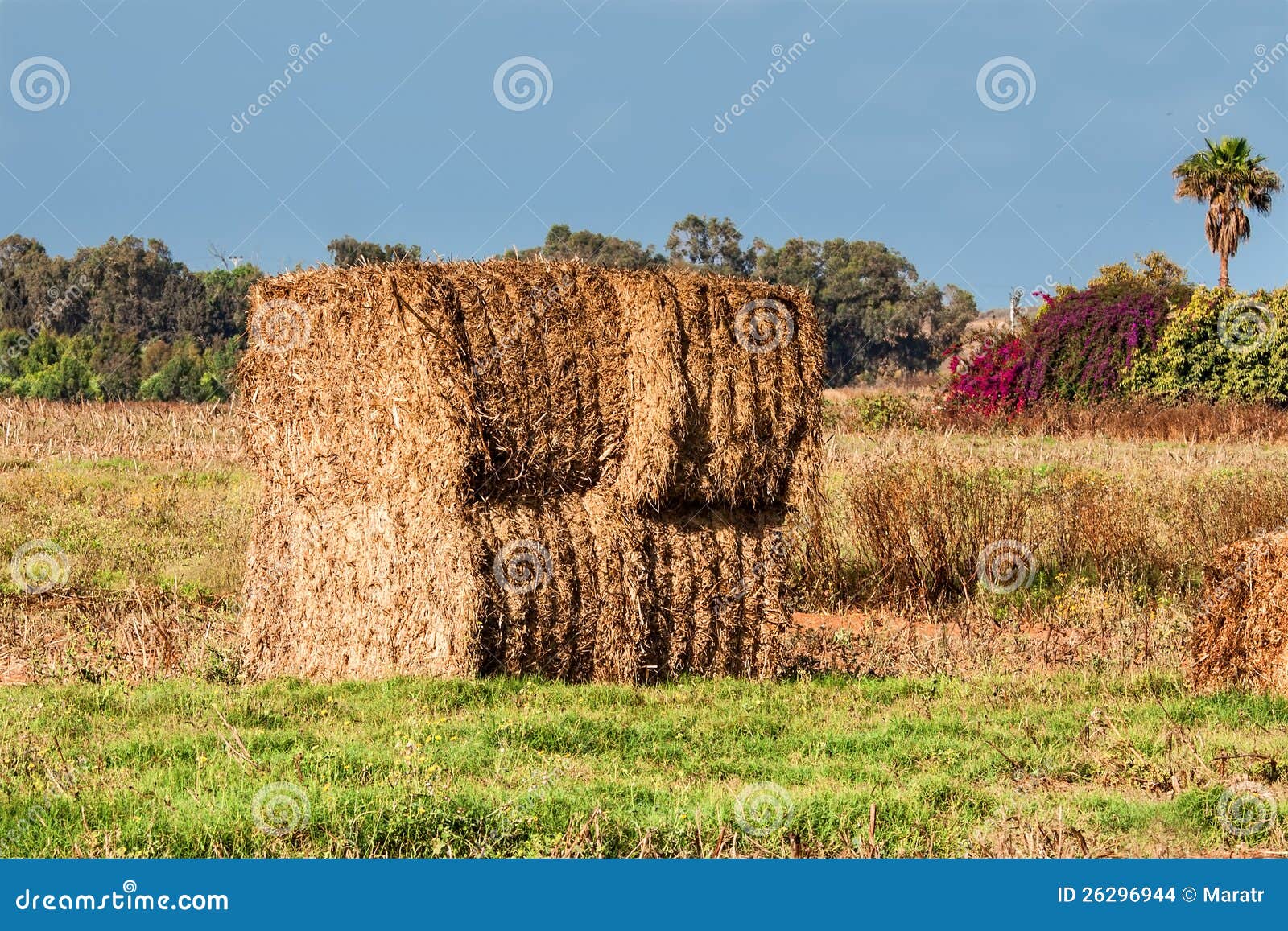 Haystack stock photo. Image of forage, agriculture, hill - 26296944