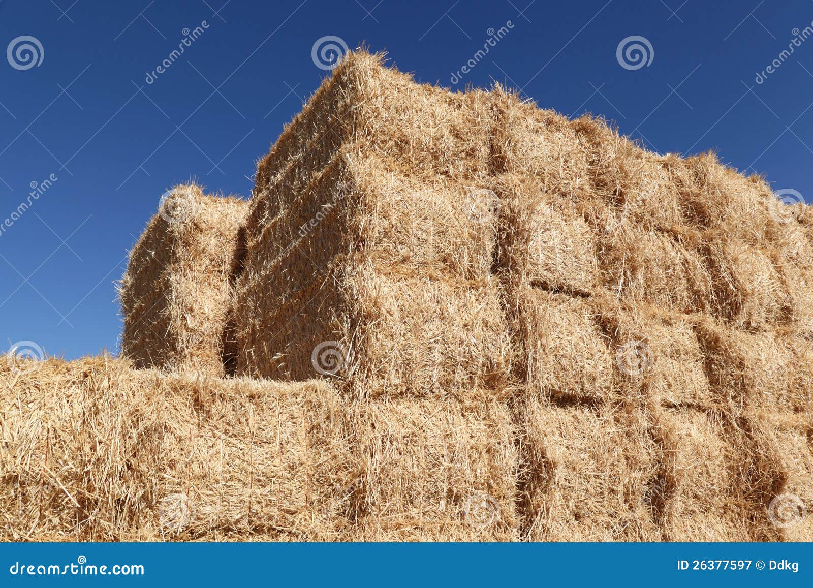Haystack stock image. Image of animal, farm, bundled - 26377597