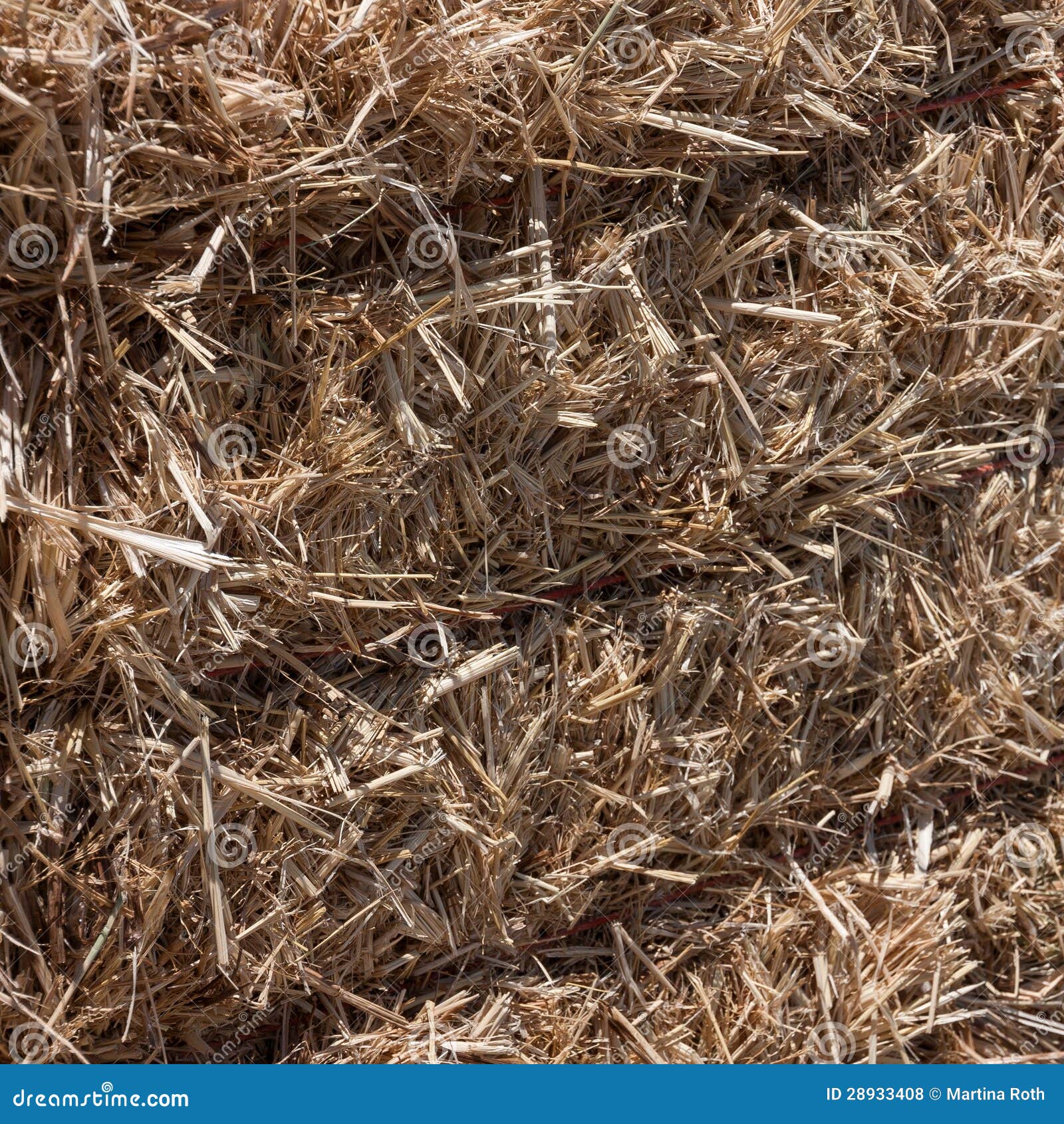 Haystack stock photo. Image of dried, matted, closeup - 28933408