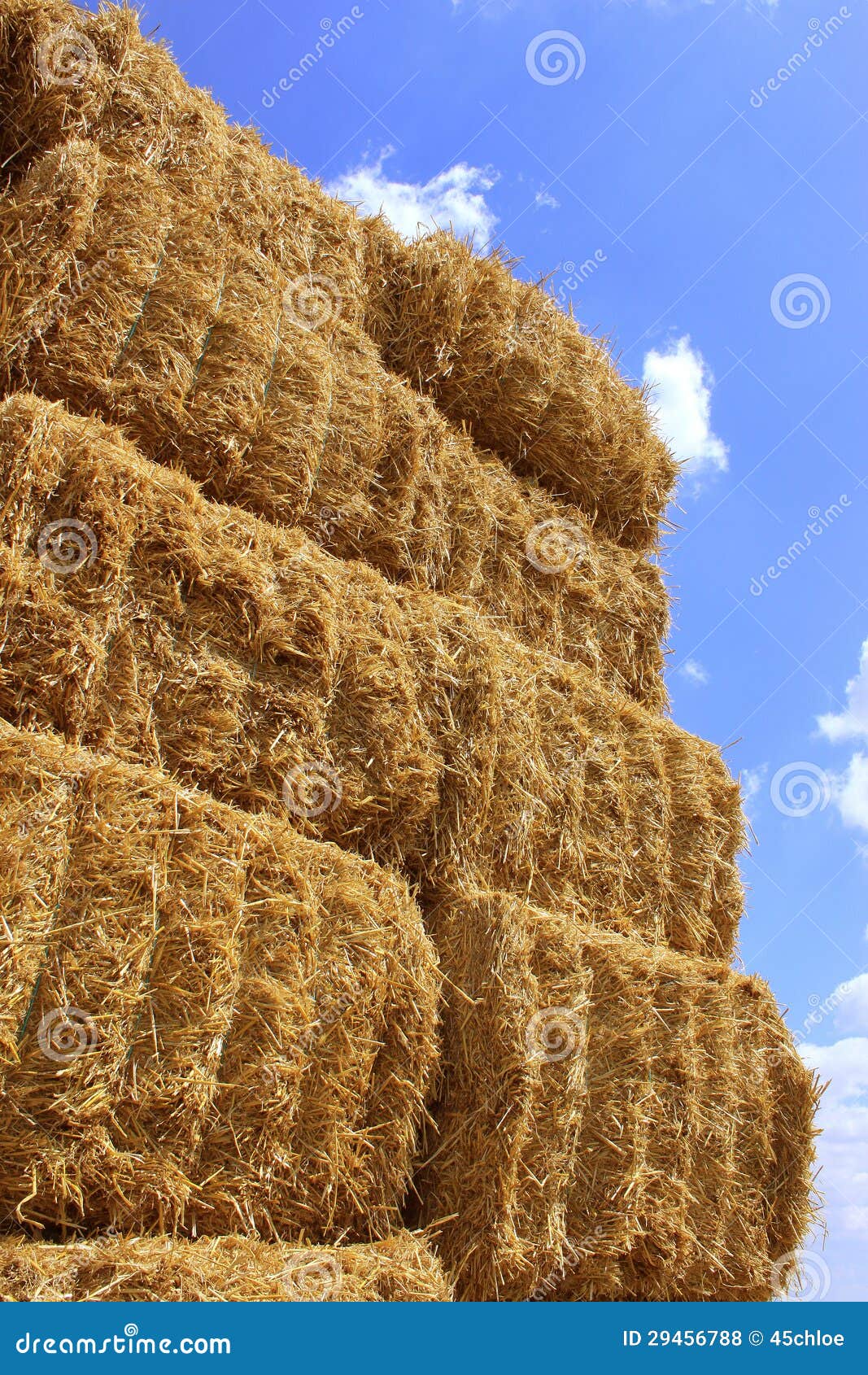 Haystack stock photo. Image of farm, stacks, grain, field - 29456788