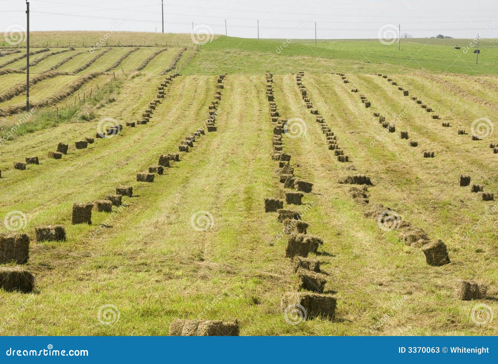 Haystack stock image. Image of making, farm, haycock, haystack - 3370063