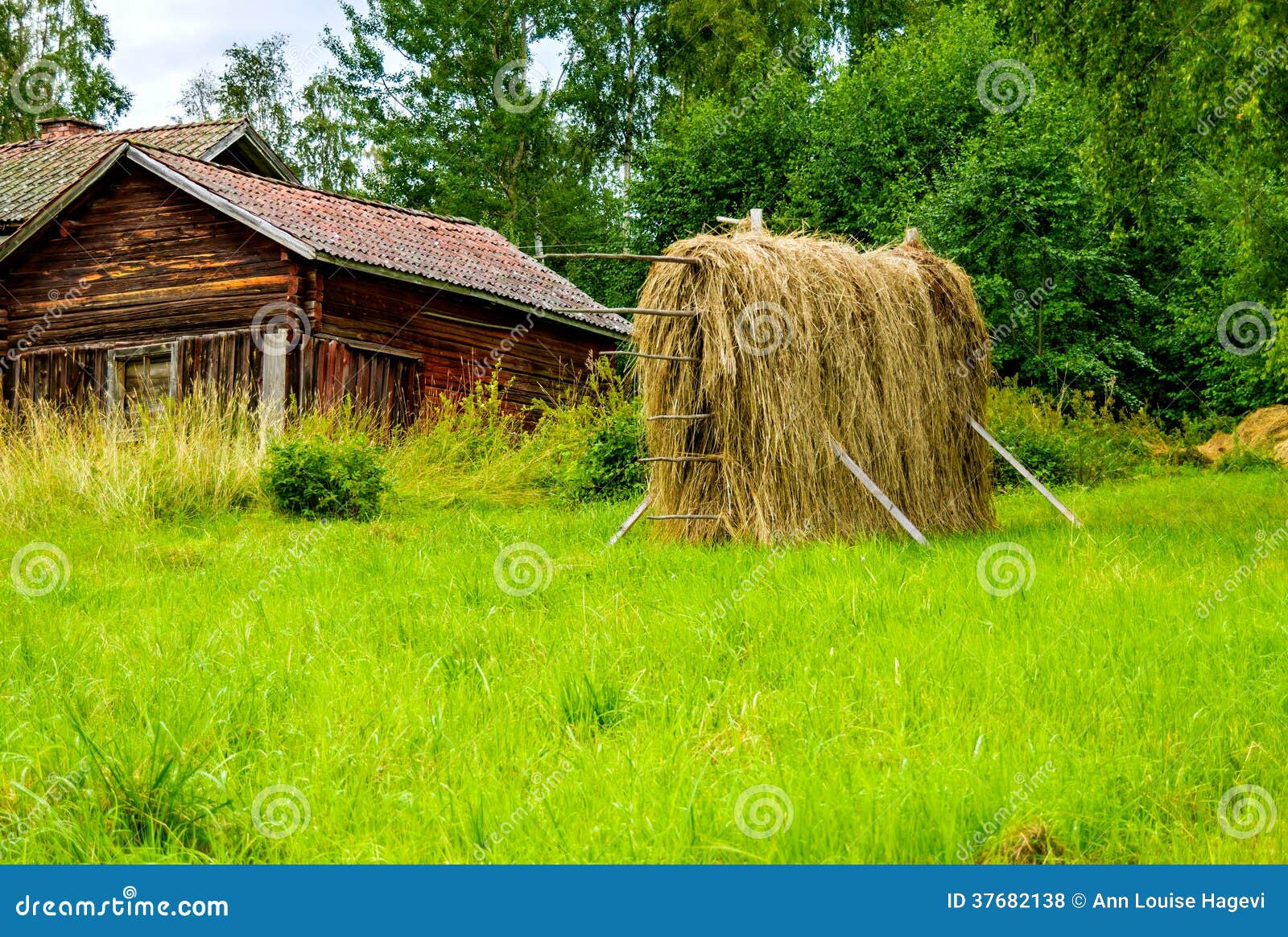 Haystack stock photo. Image of barn, farmland, grass - 37682138