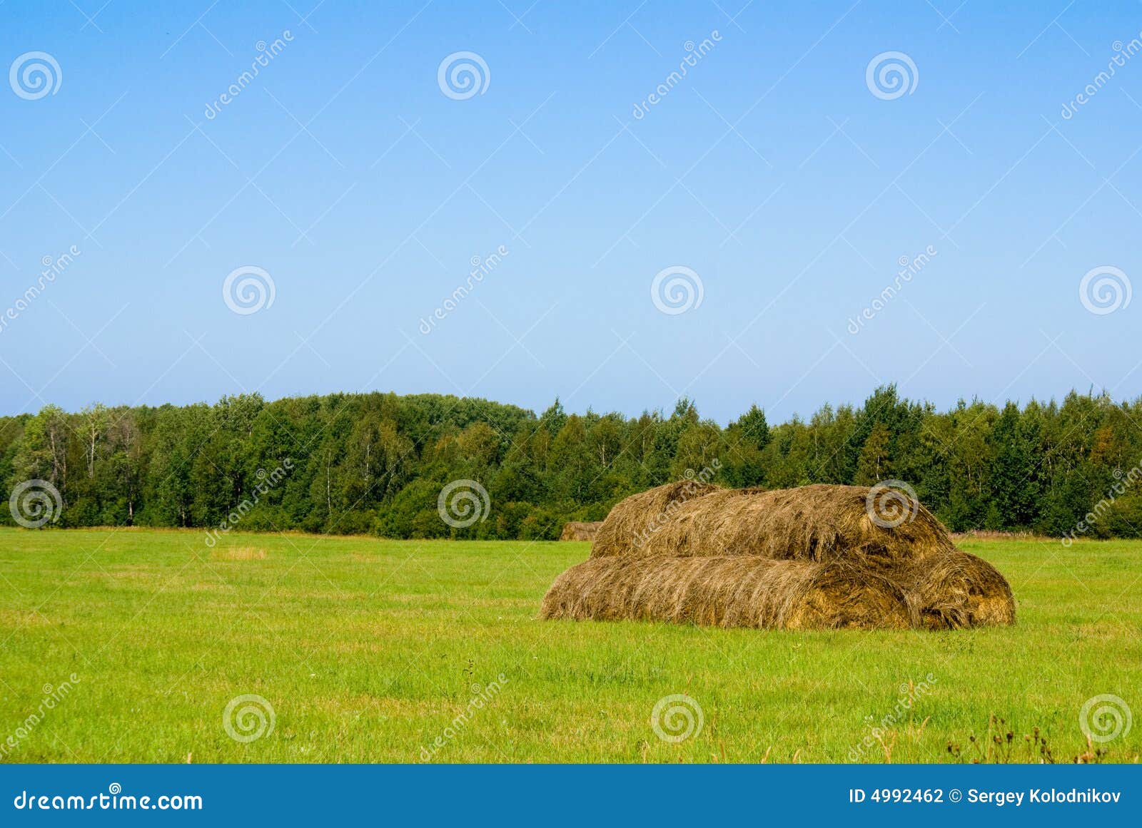 Haystack stock photo. Image of cloud, growth, landscape - 4992462