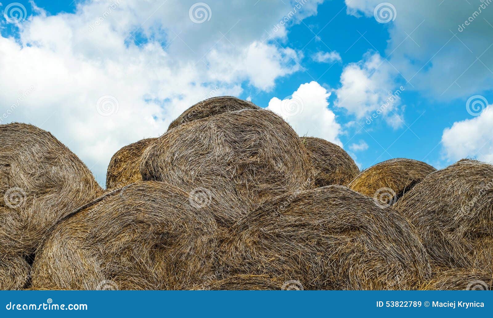 Haystack image stock. Image du beauté, animal, fleur - 53822789