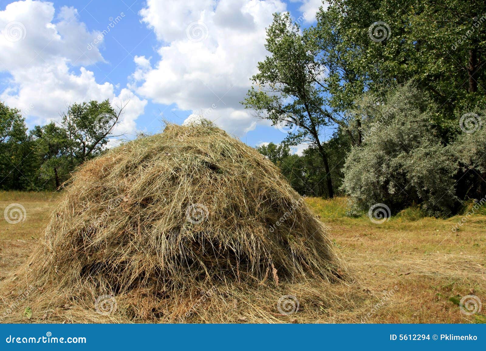 Haystack stock photo. Image of rural, slant, tree, skew - 5612294