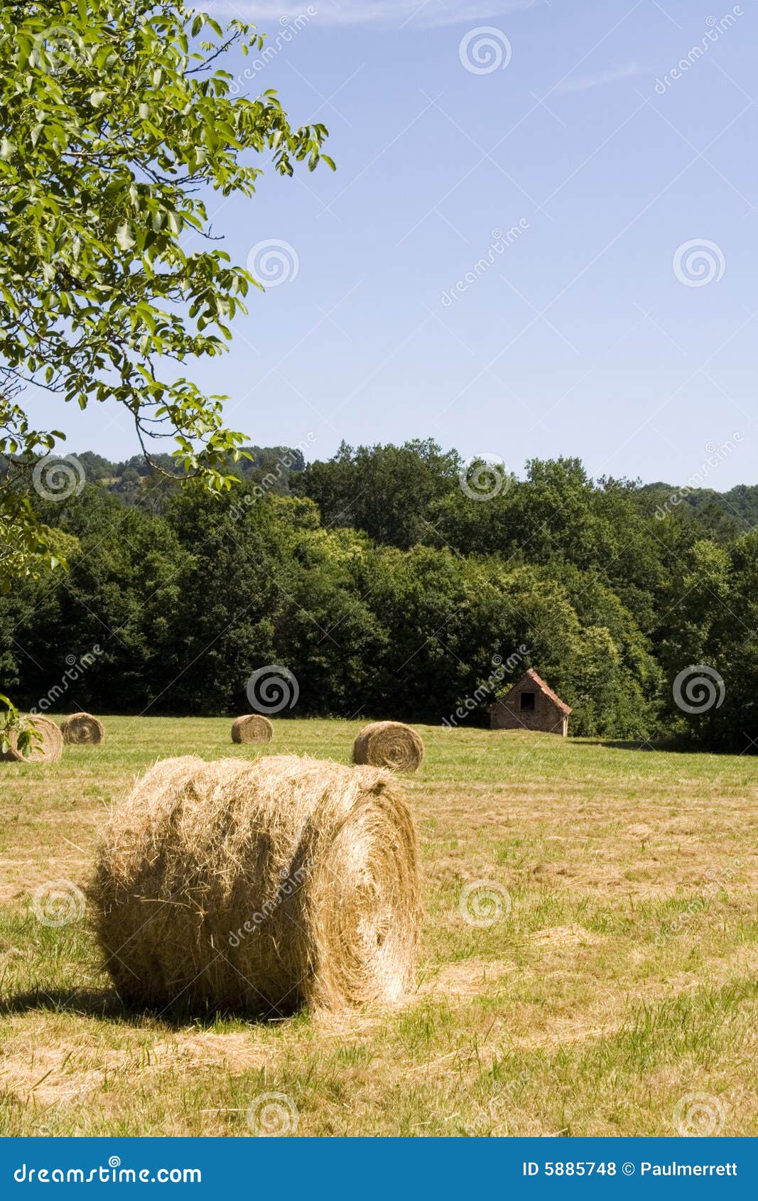 Haystack stock photo. Image of farm, country, scene, green - 5885748
