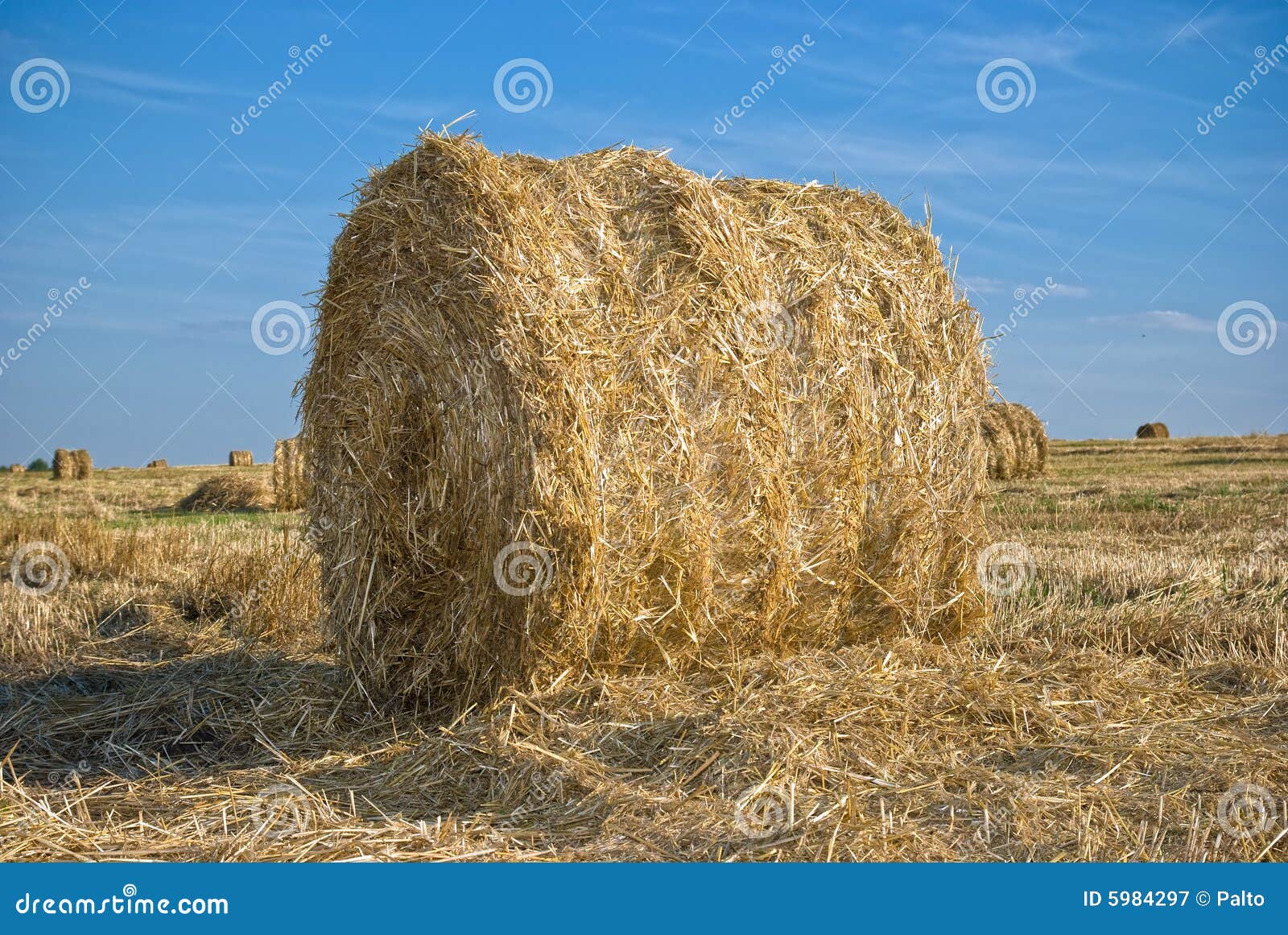 Haystack stock image. Image of environment, background - 5984297