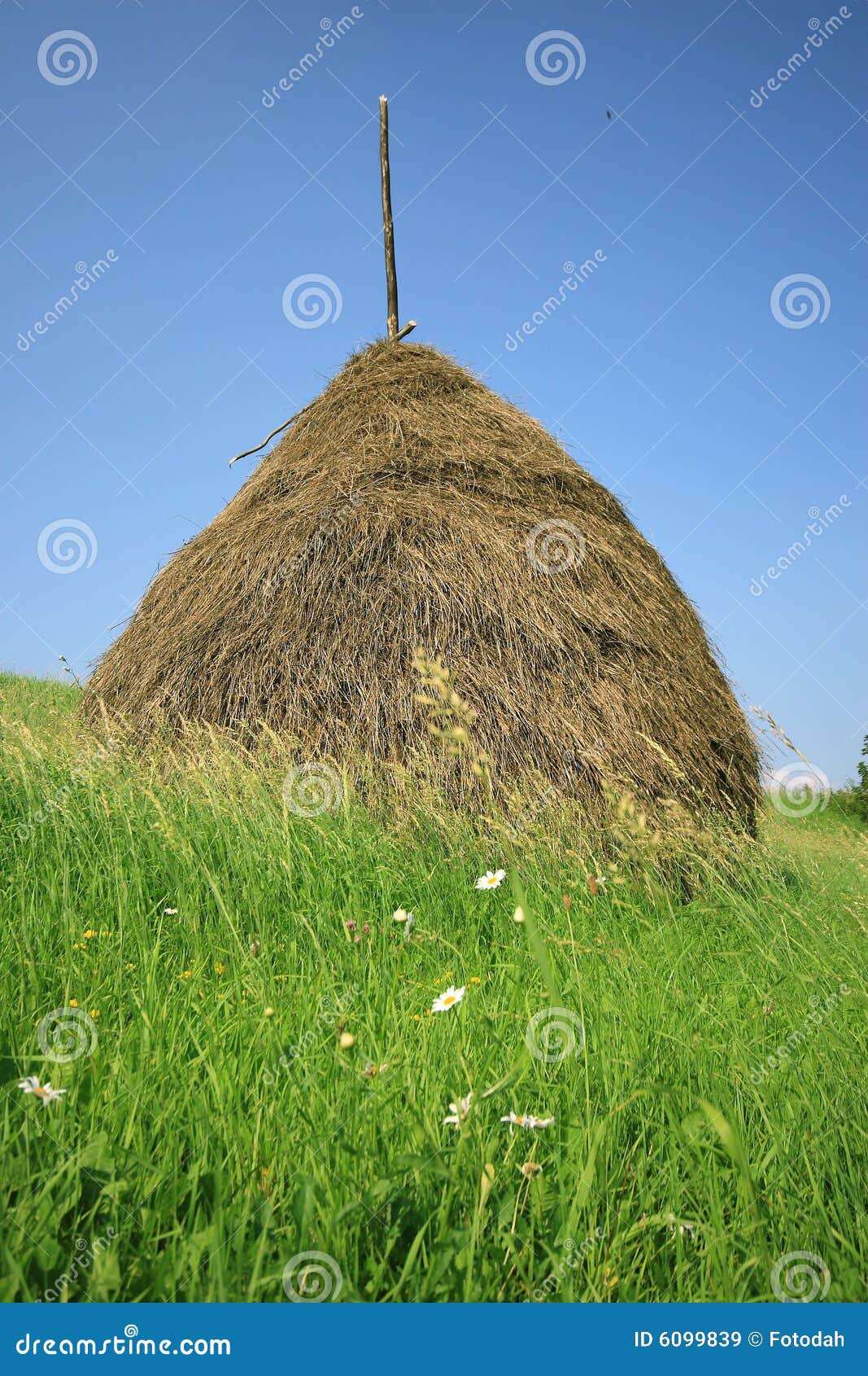 Haystack stock image. Image of food, landscape, farm, village - 6099839