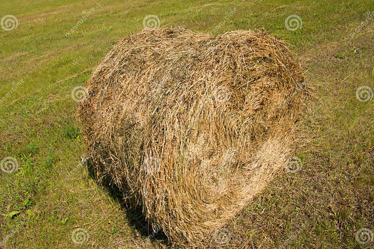 Haystack stock photo. Image of rick, haystack, rural, field - 6942098