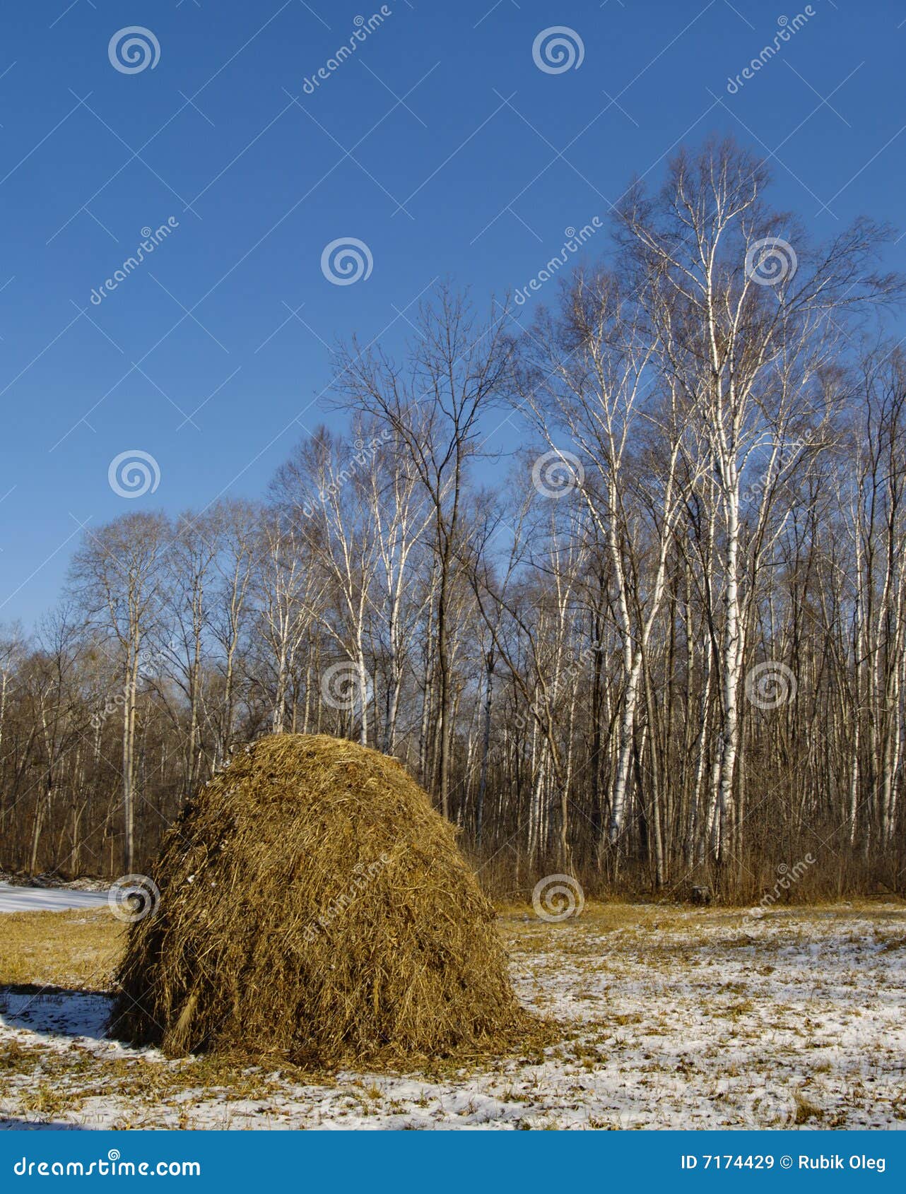 Haystack stock image. Image of grass, nature, haystack - 7174429
