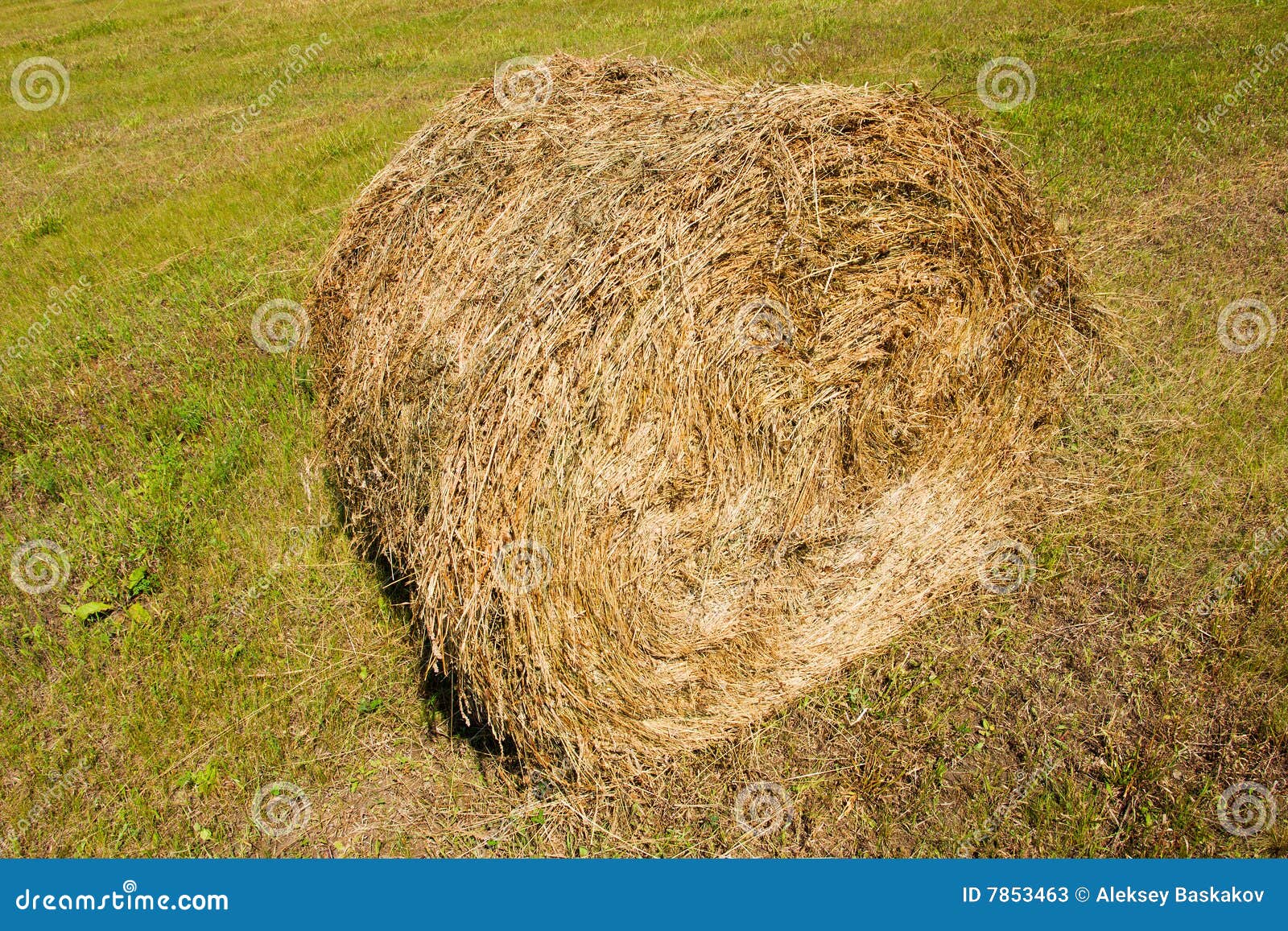Haystack stock image. Image of wheat, horizontal, nature - 7853463