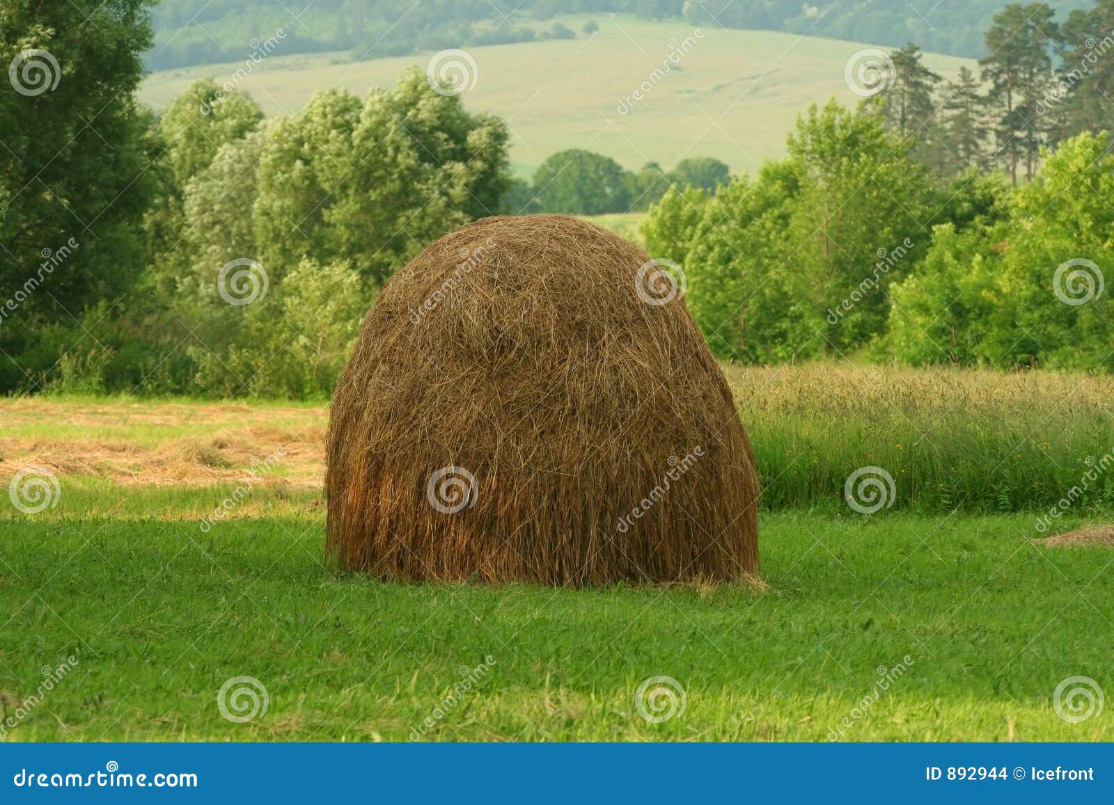 Haystack stock photo. Image of drying, green, field, brown - 892944