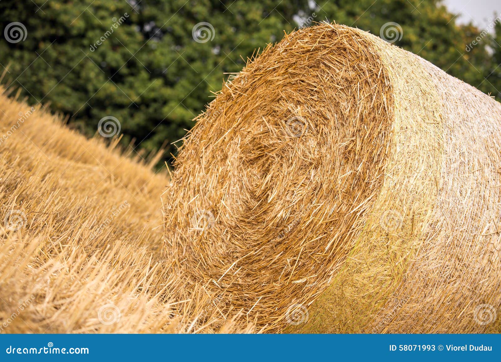 Haystack stock image. Image of grow, producing, field - 58071993