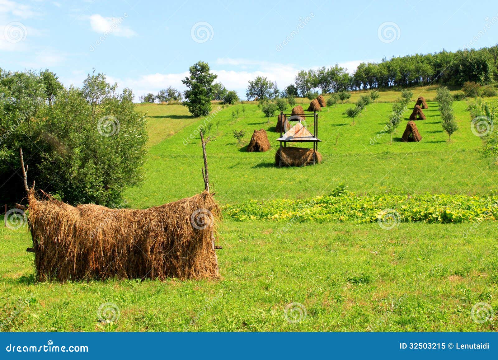 Haystack-agriculture stock image. Image of produce, reaped - 32503215
