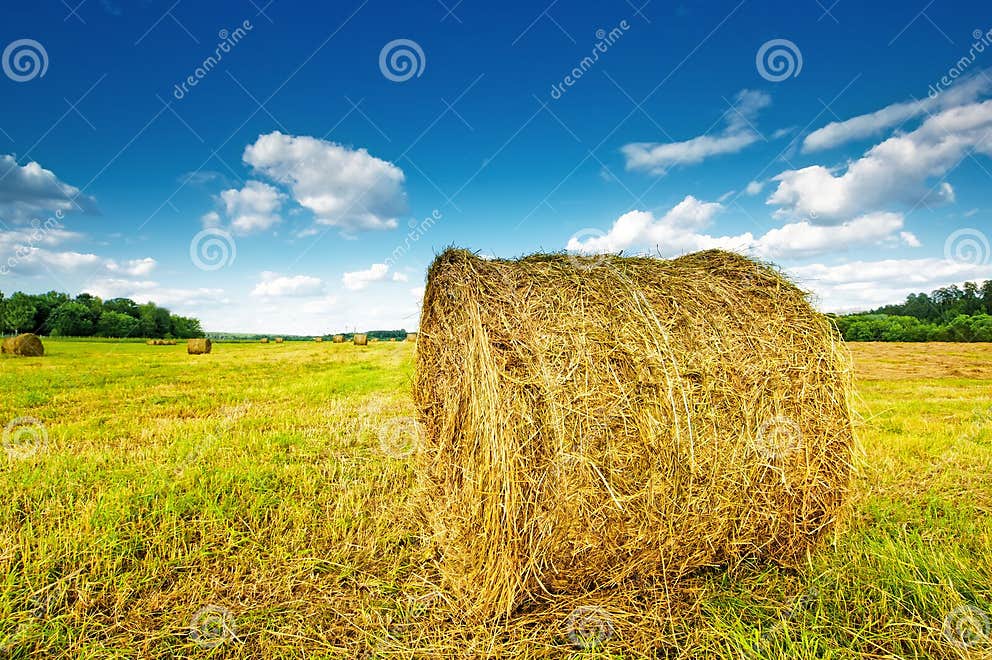 Haystack assembled stock image. Image of cereal, color - 29424767