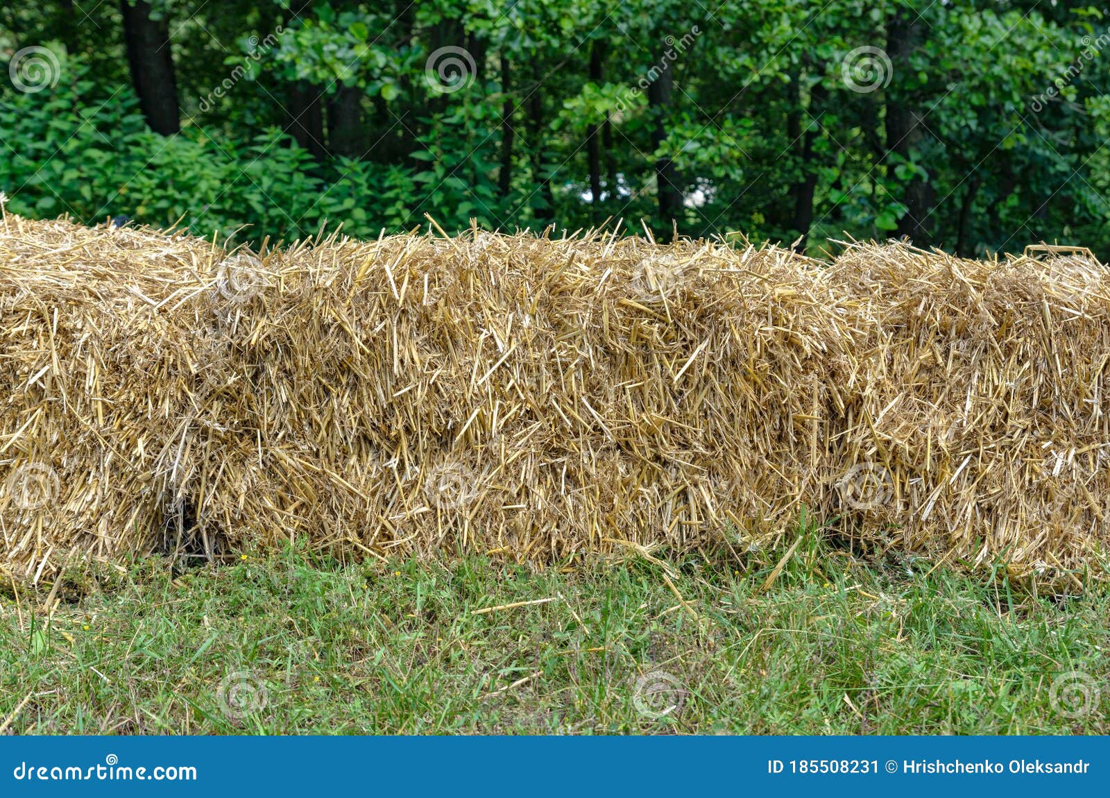 Haystack on the Background of Field Stock Image - Image of grass, feed ...