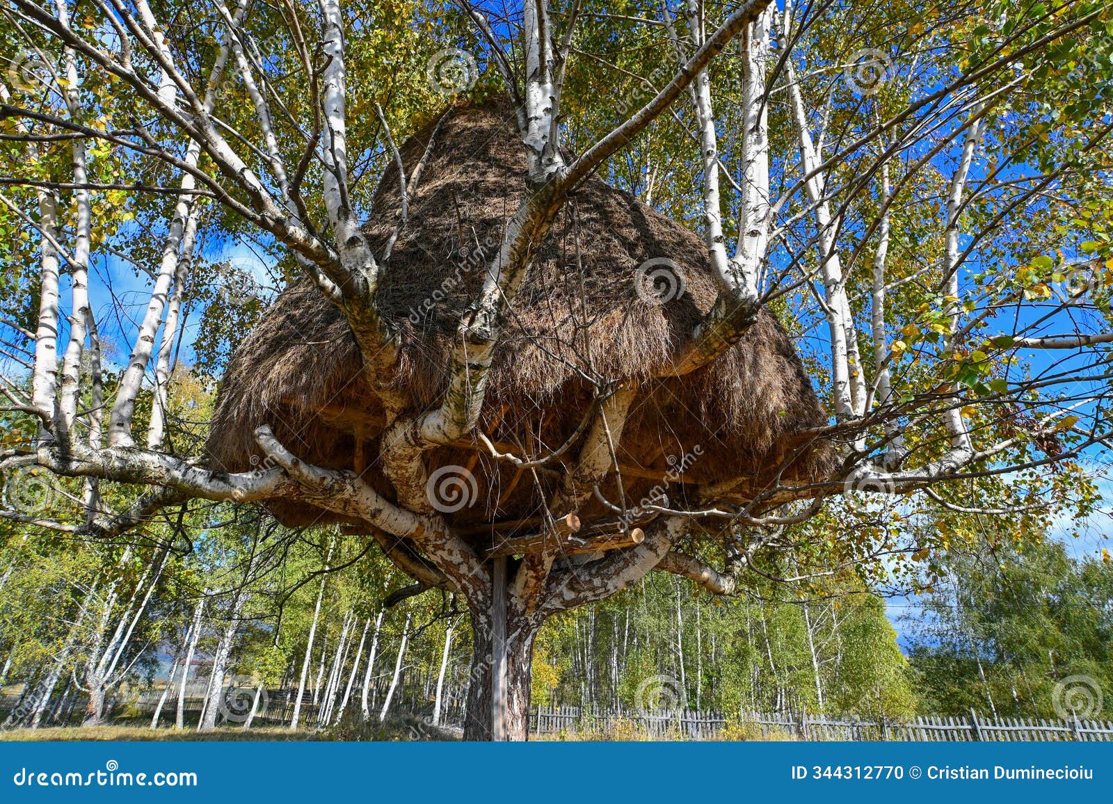 Unusual Haystack in Sureanu Mountains, Romania Stock Photo - Image of ...