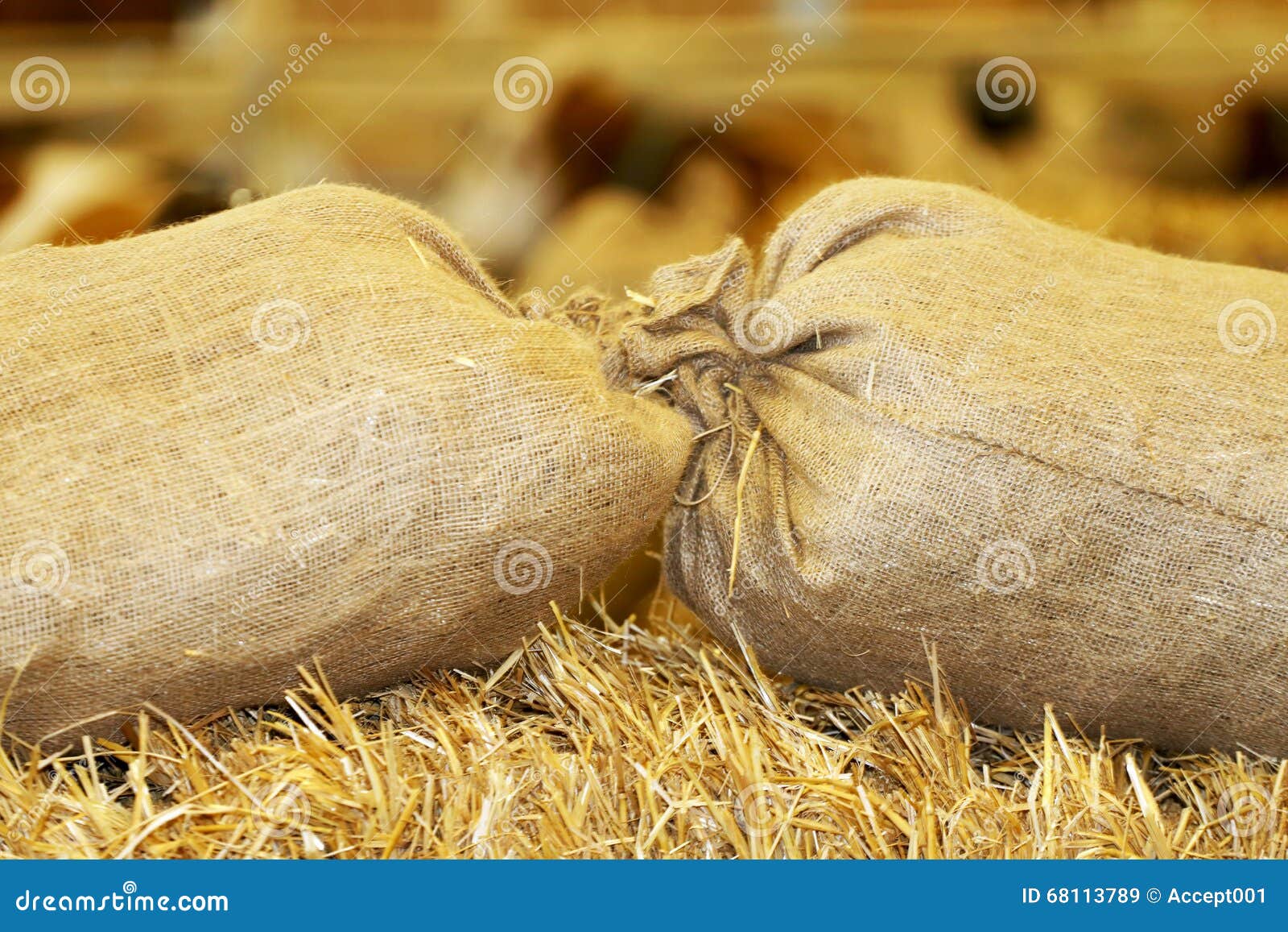 Haystack Closeup with Sacks As a Background Stock Image - Image of ...