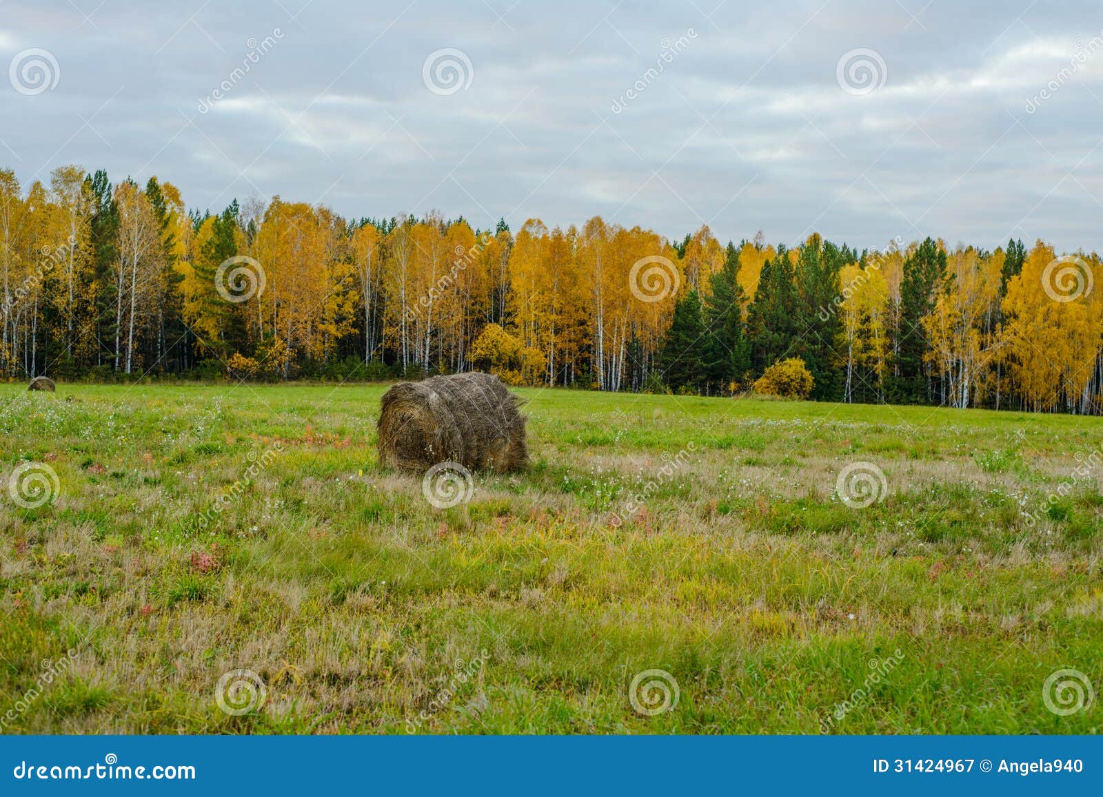 Haystack in country field stock image. Image of freedom - 31424967