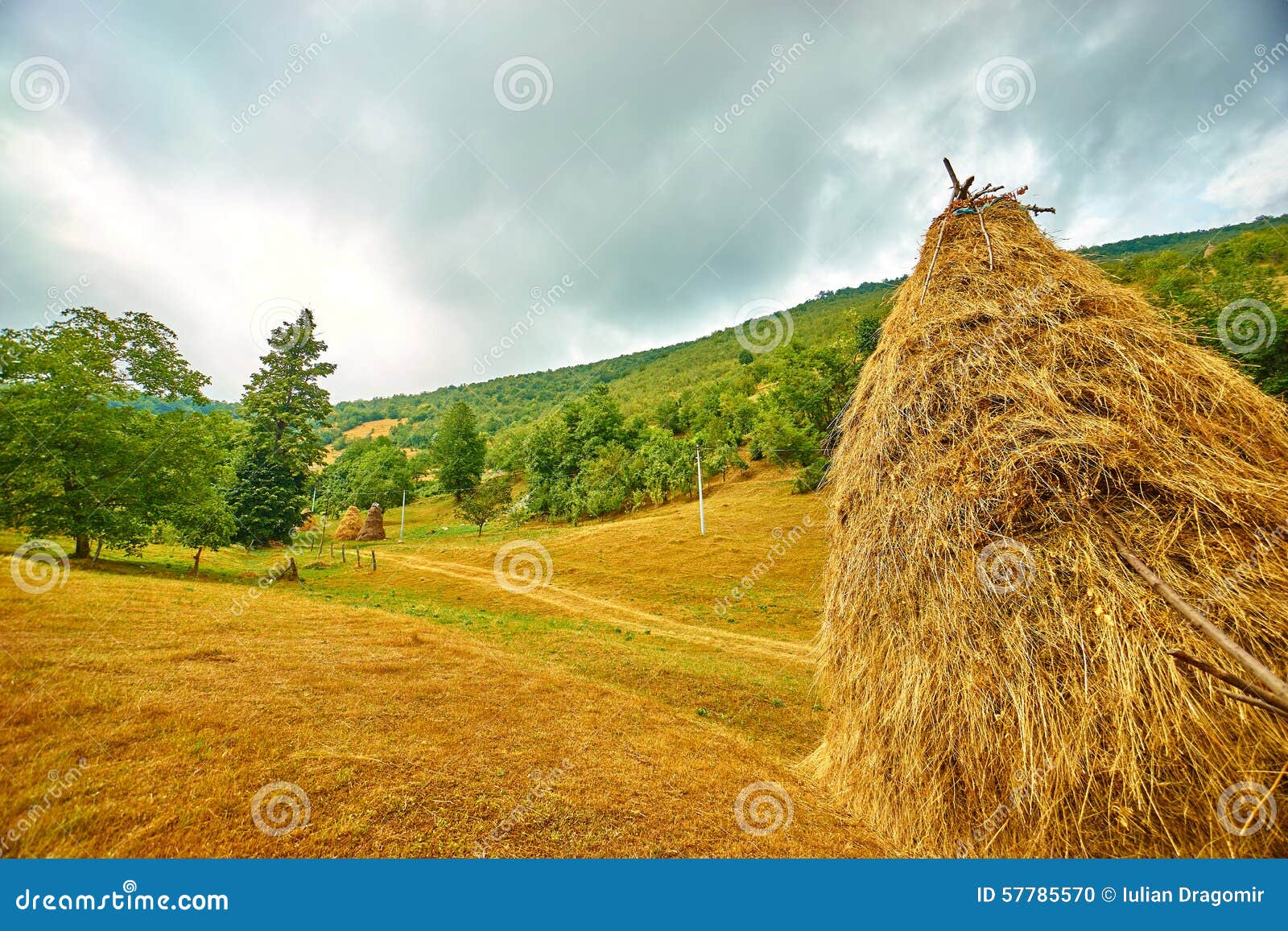 Haystack Countryside Landscape Stock Photo - Image of nature, yellow ...