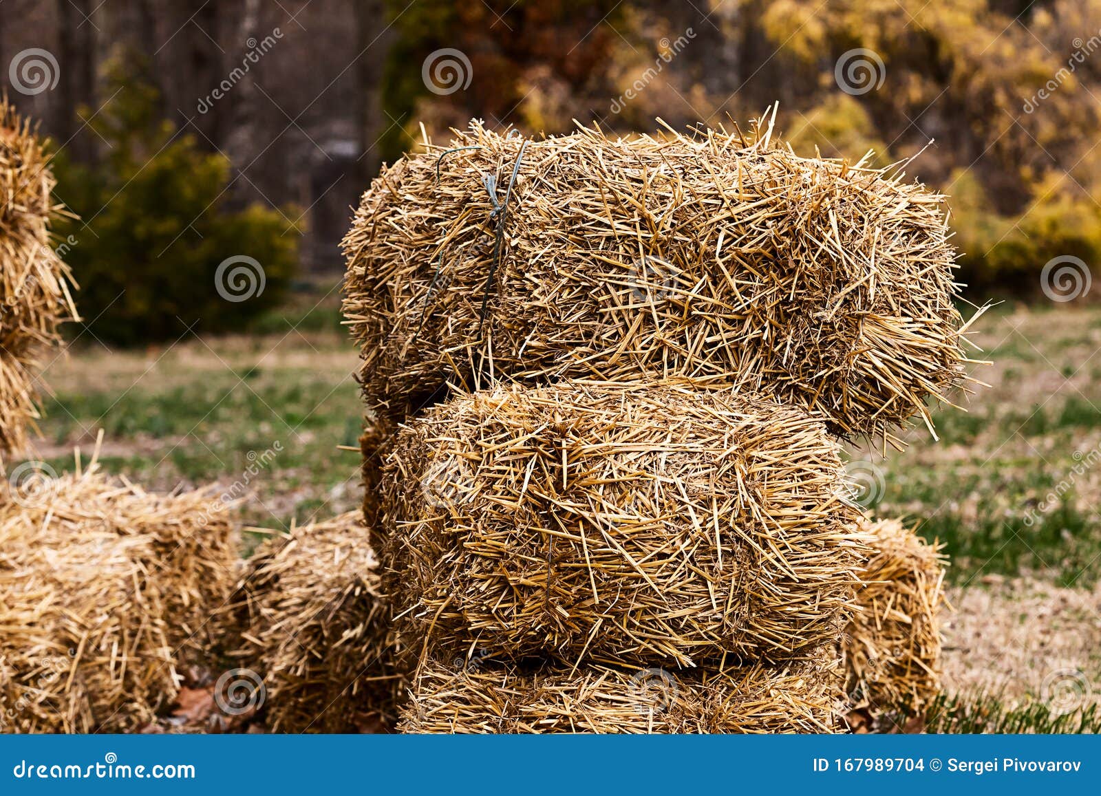 Haystack Design Rustic Stack Close Up Harvest Autumn Forage Cow Stock ...