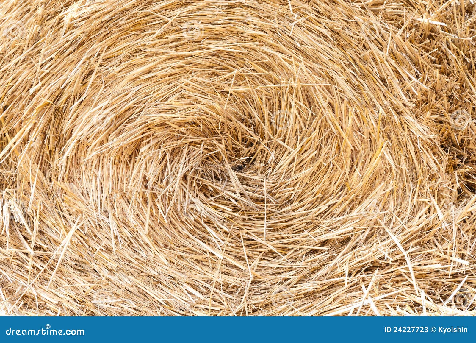 Haystack detail stock image. Image of straw, circle, agriculture - 24227723