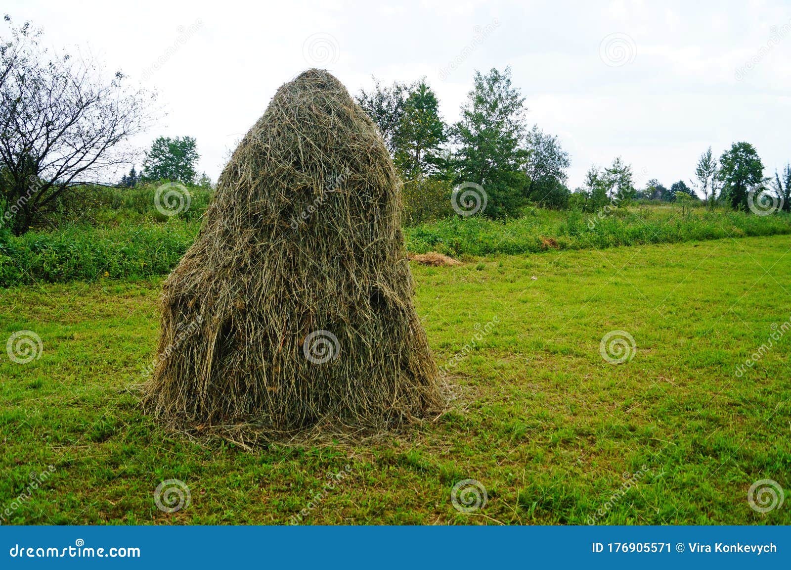 Haystack with Dry Grass in a Meadow with Green Grass Stock Image ...