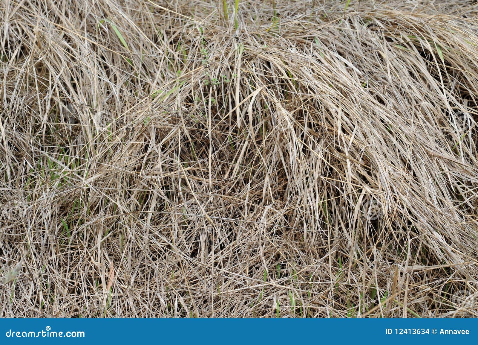 Haystack, Excellent Background Stock Photo - Image of agriculture ...