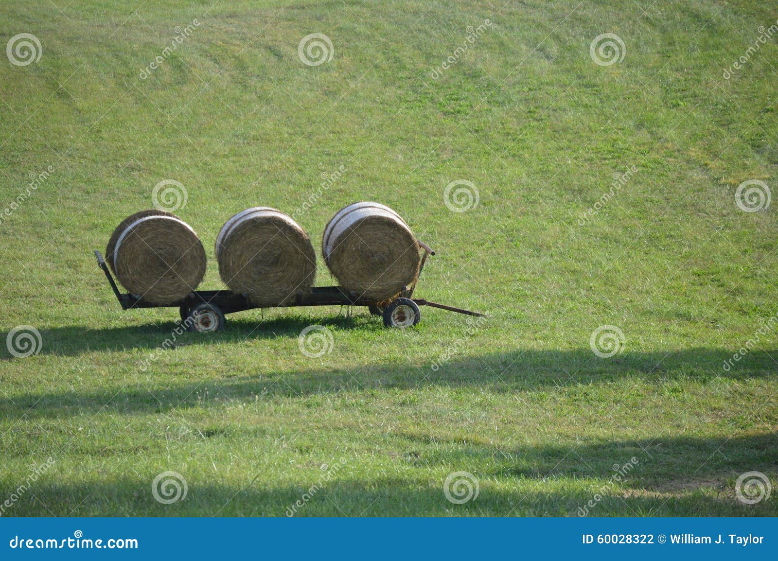 Haystack stock photo. Image of cattle, round, bale, fall - 60028322