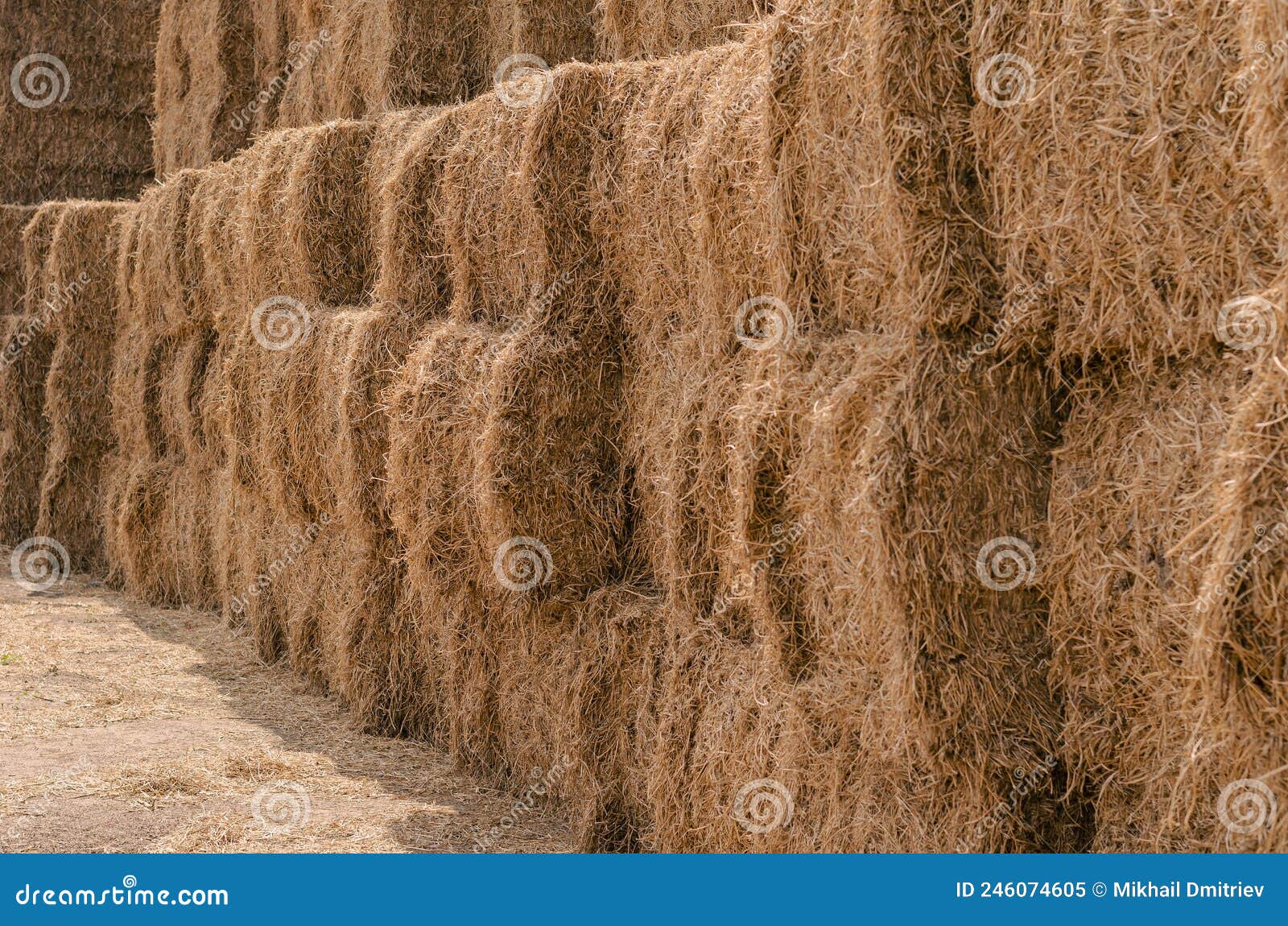 Haystack on a Farm. Stack of Rectangular Bales of Dry Straw in the Open ...
