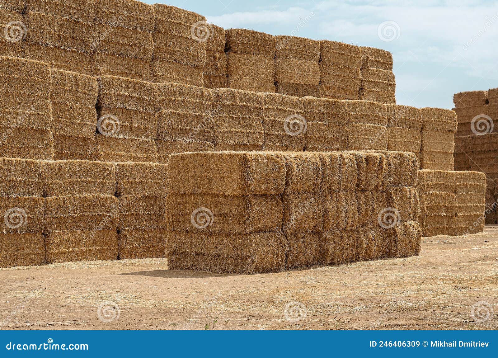 Haystack on a Farm. Stack of Rectangular Bales of Dry Straw in the Open ...