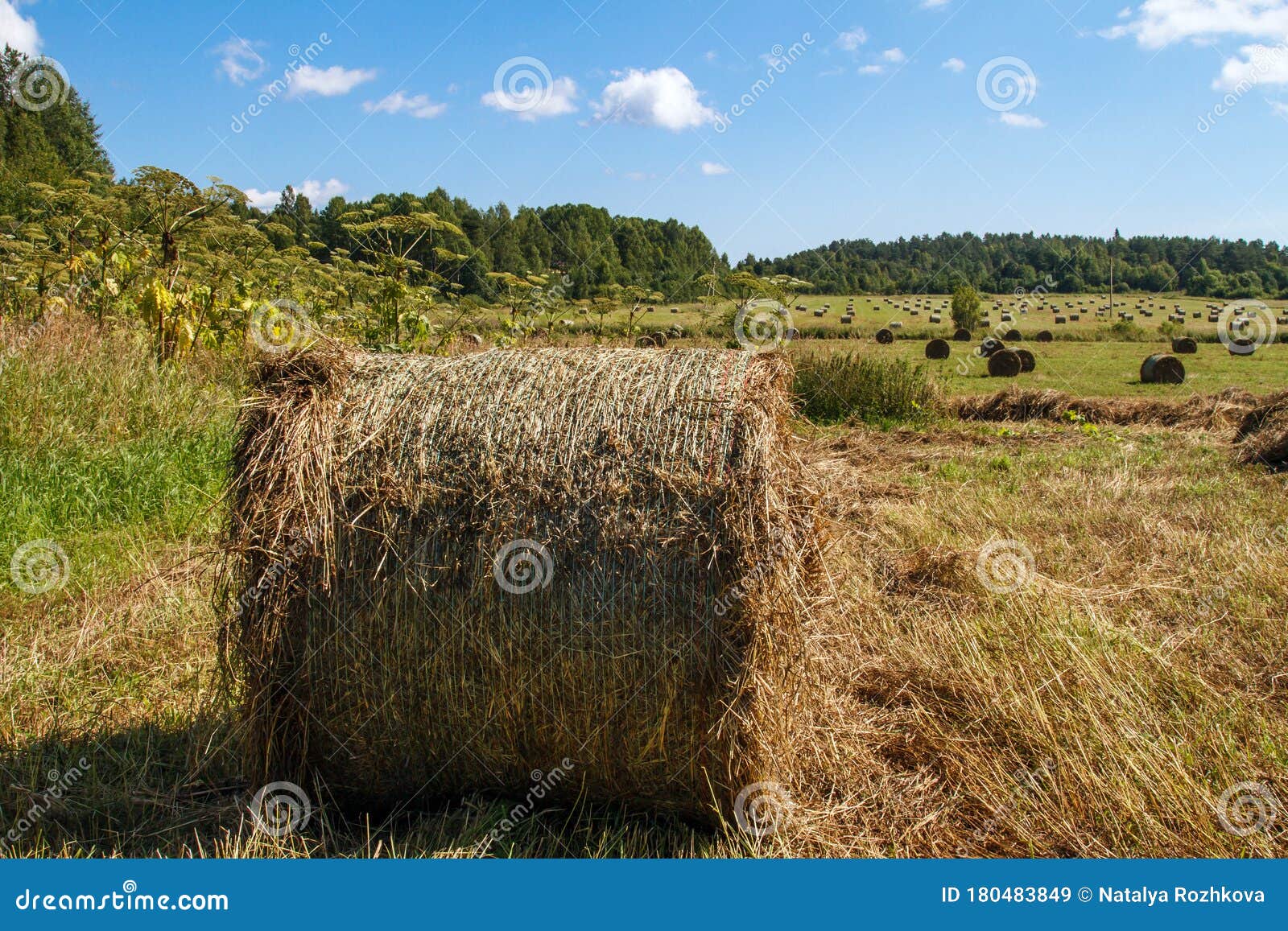 A Haystack in a Farmer`s Field. Stock Image - Image of outdoor, grazing ...
