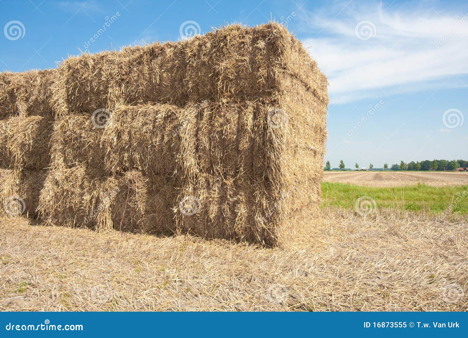 Haystack in the Farmland of the Netherlands Stock Image - Image of ...