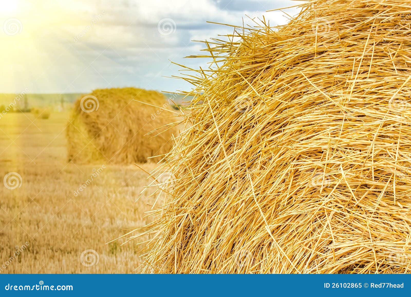 Haystack in the field stock image. Image of scene, food - 26102865