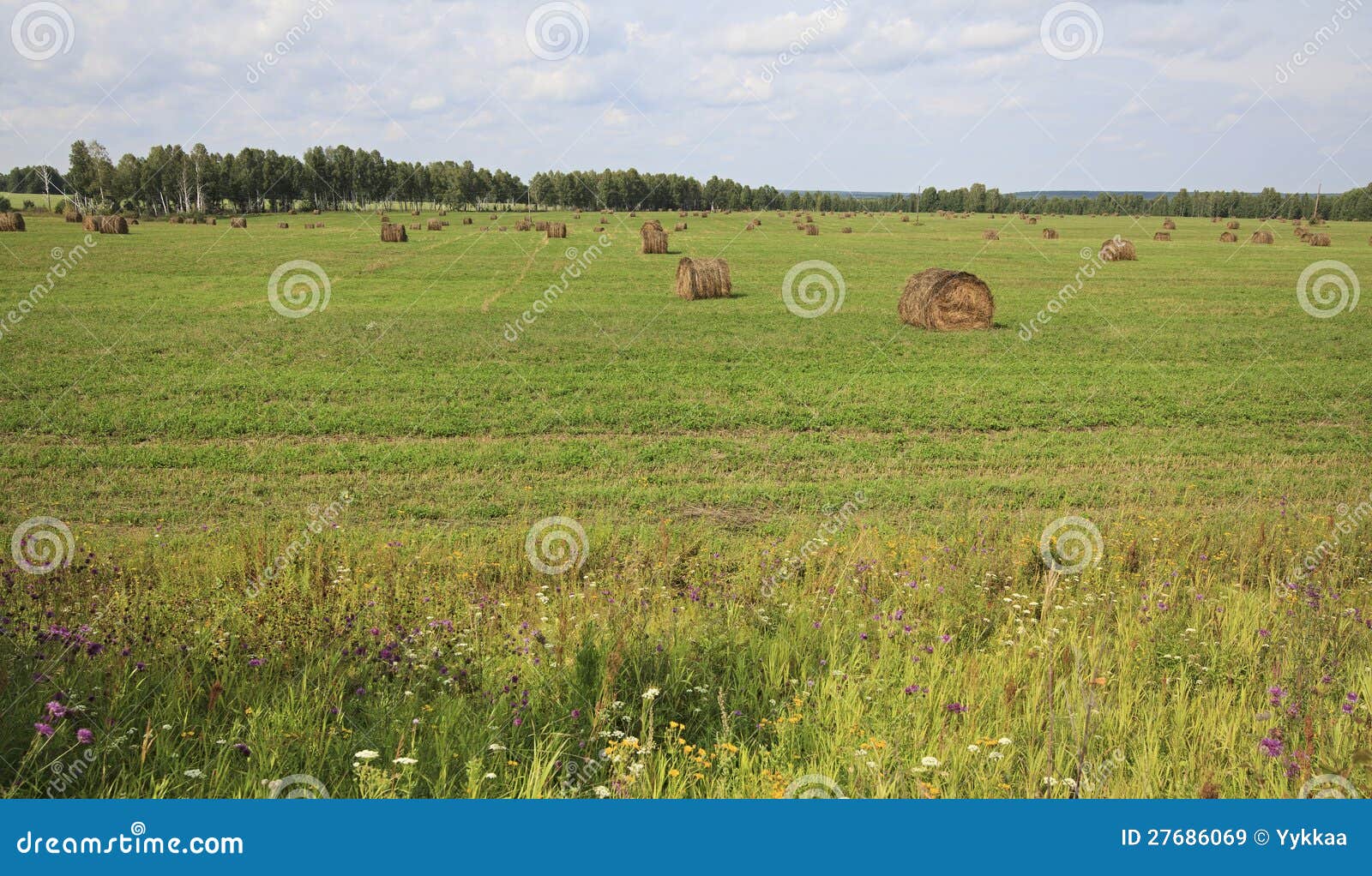 Haystack on the field stock image. Image of field, meadow - 27686069
