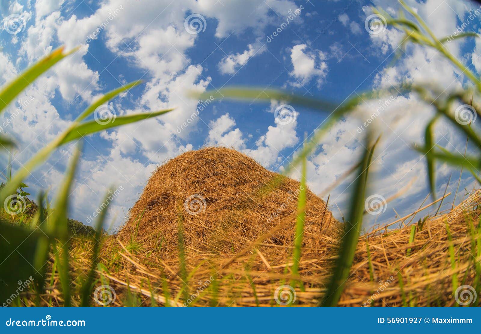 Haystack in a Field Against a Blue Sky Summer Stock Image - Image of ...