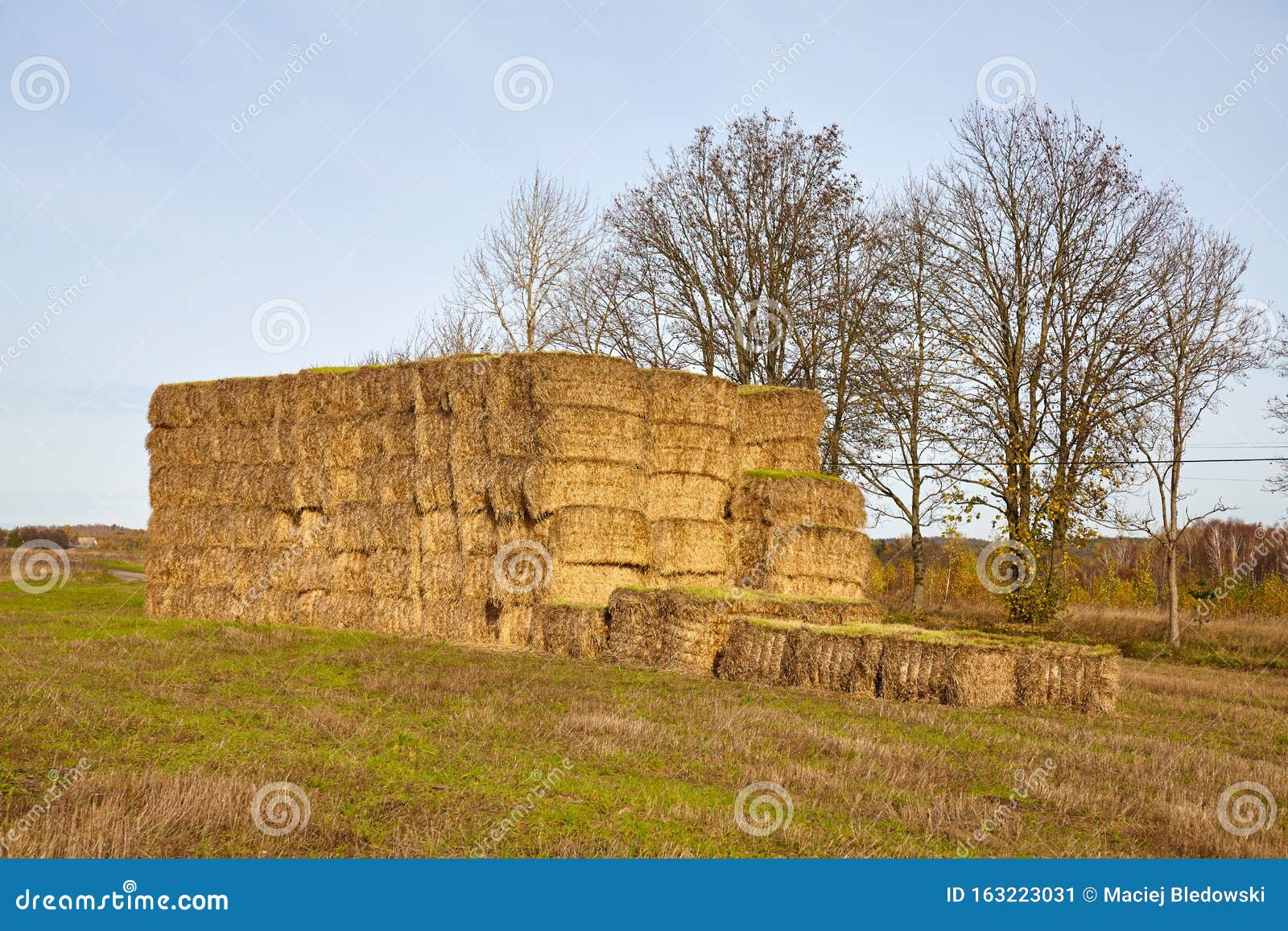 Haystack on a Field in the Autumn Stock Image - Image of wheat ...