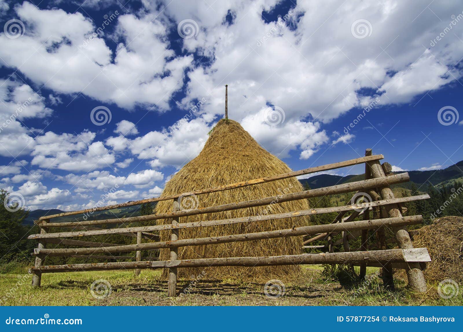 Haystack in the field stock photo. Image of agriculture - 57877254