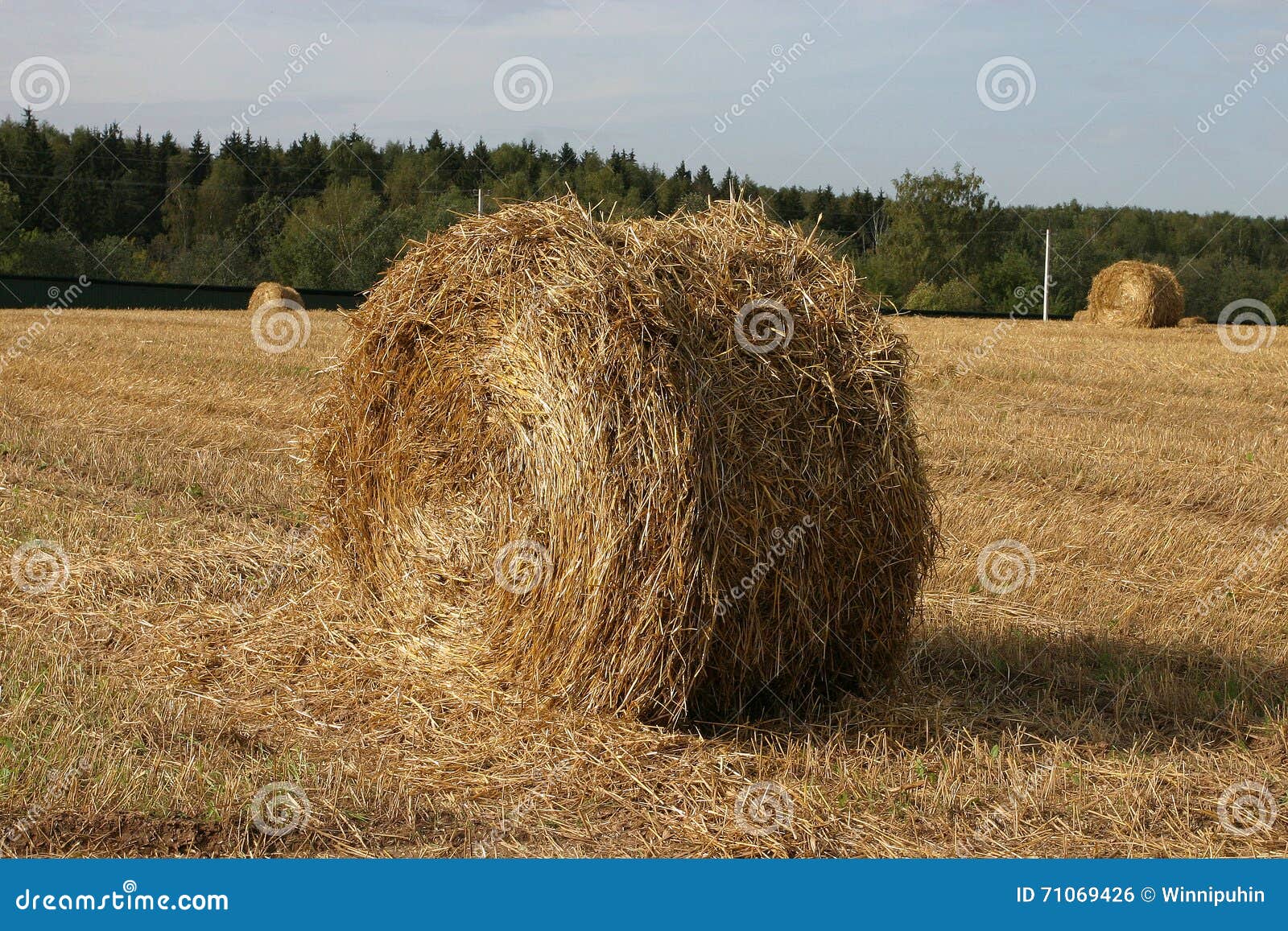 Haystack on the field stock photo. Image of plant, bale - 71069426
