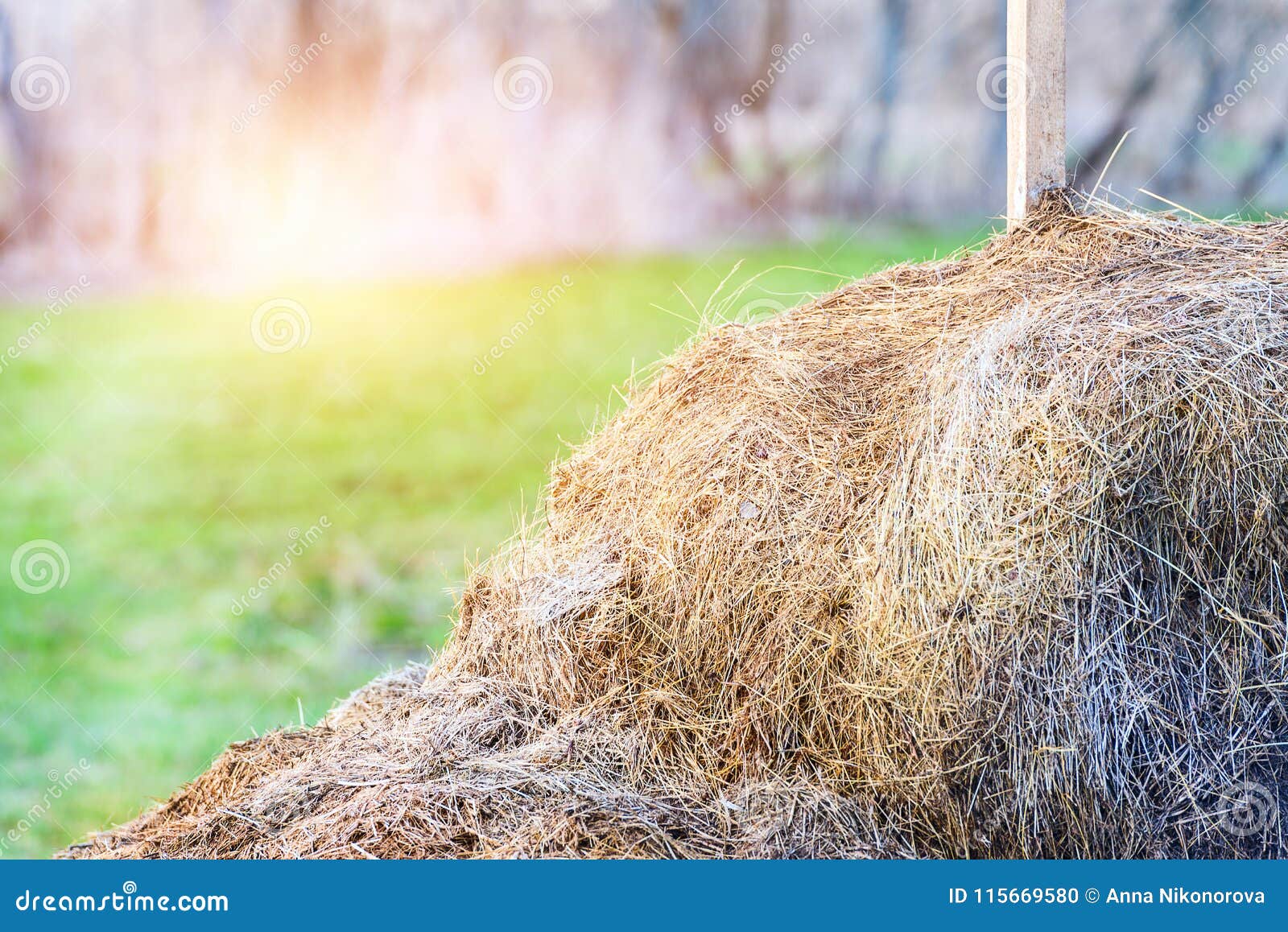 Haystack in the Field, Close-up, at Sunset Stock Photo - Image of ...