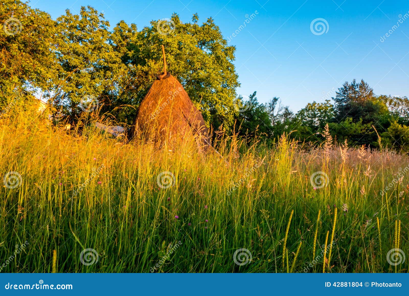 Haystack in the field stock photo. Image of nature, peace - 42881804